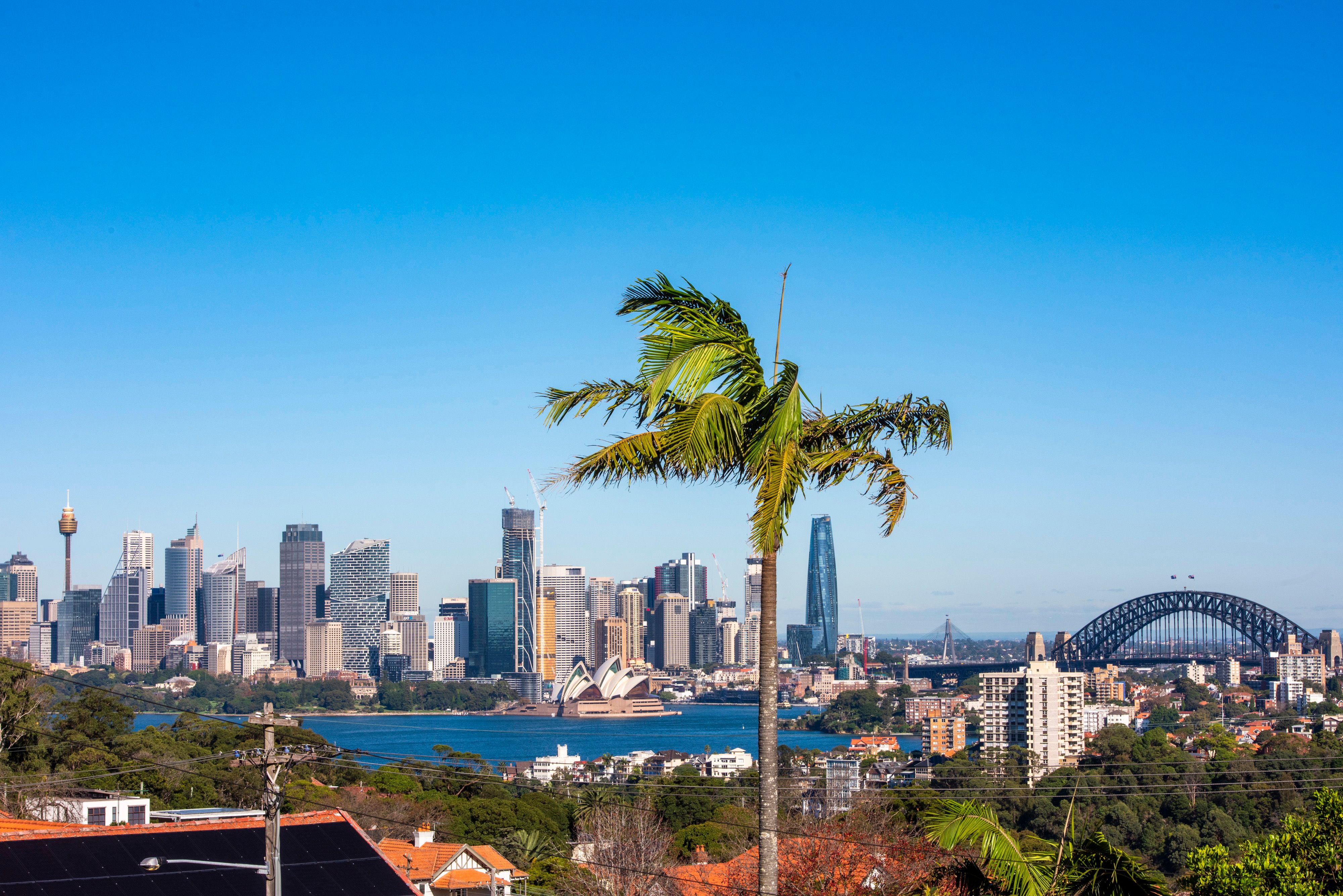 Ray White Lower North Shore Group