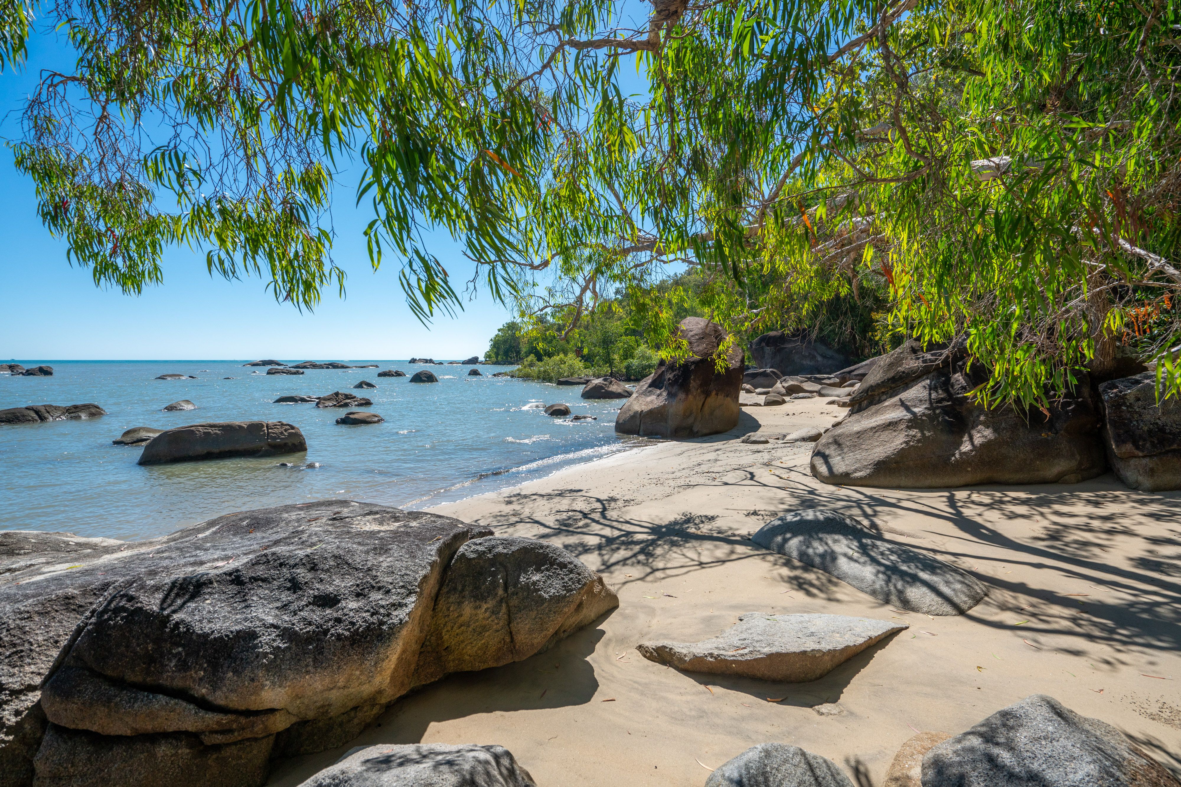 7 McCrae Street, East Trinity, QLD 4871 - Sold House - Ray White Cairns ...