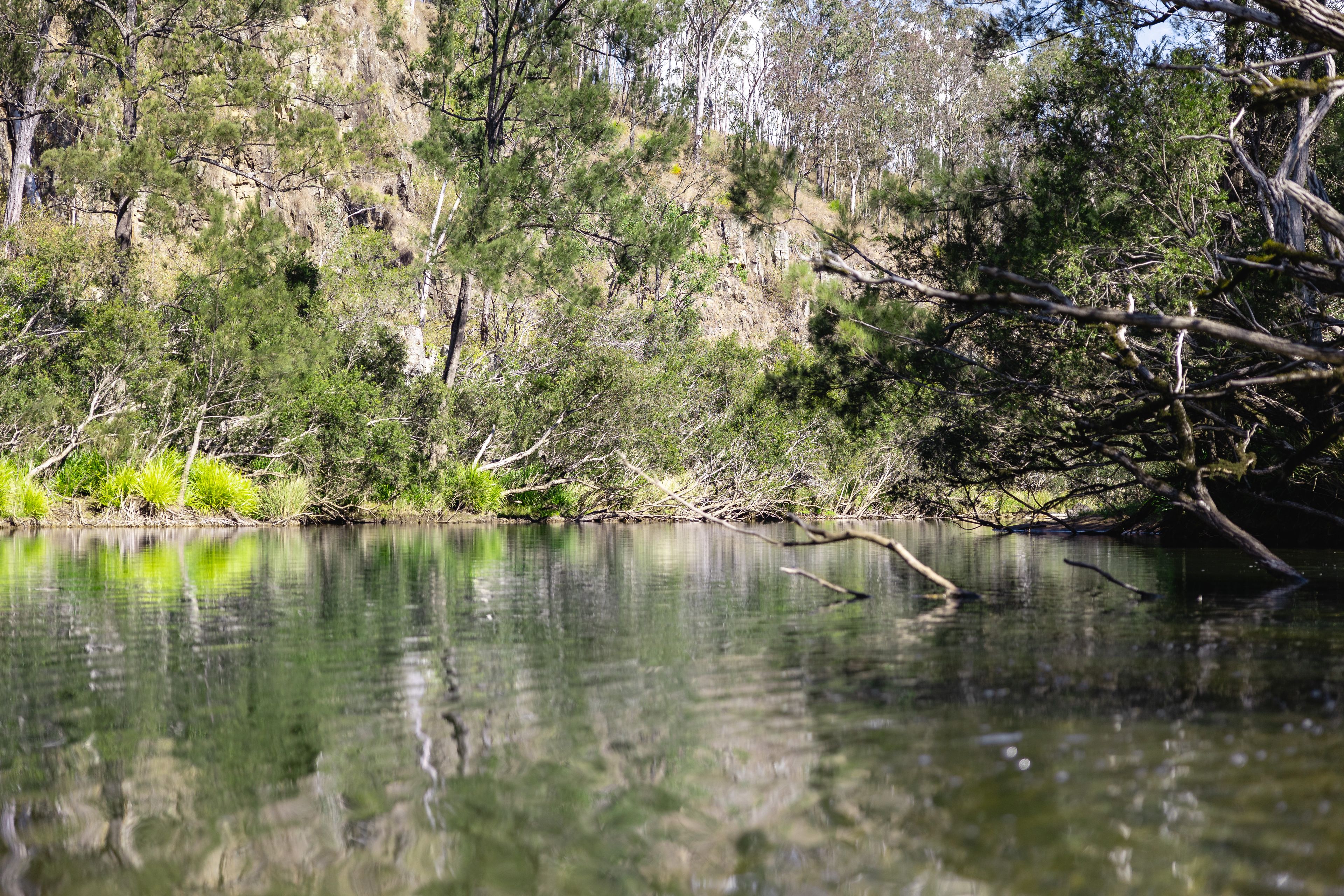 Lot 201 Paddys Flat Road, Tooloom, NSW 2475 - Rural Lifestyle Property ...