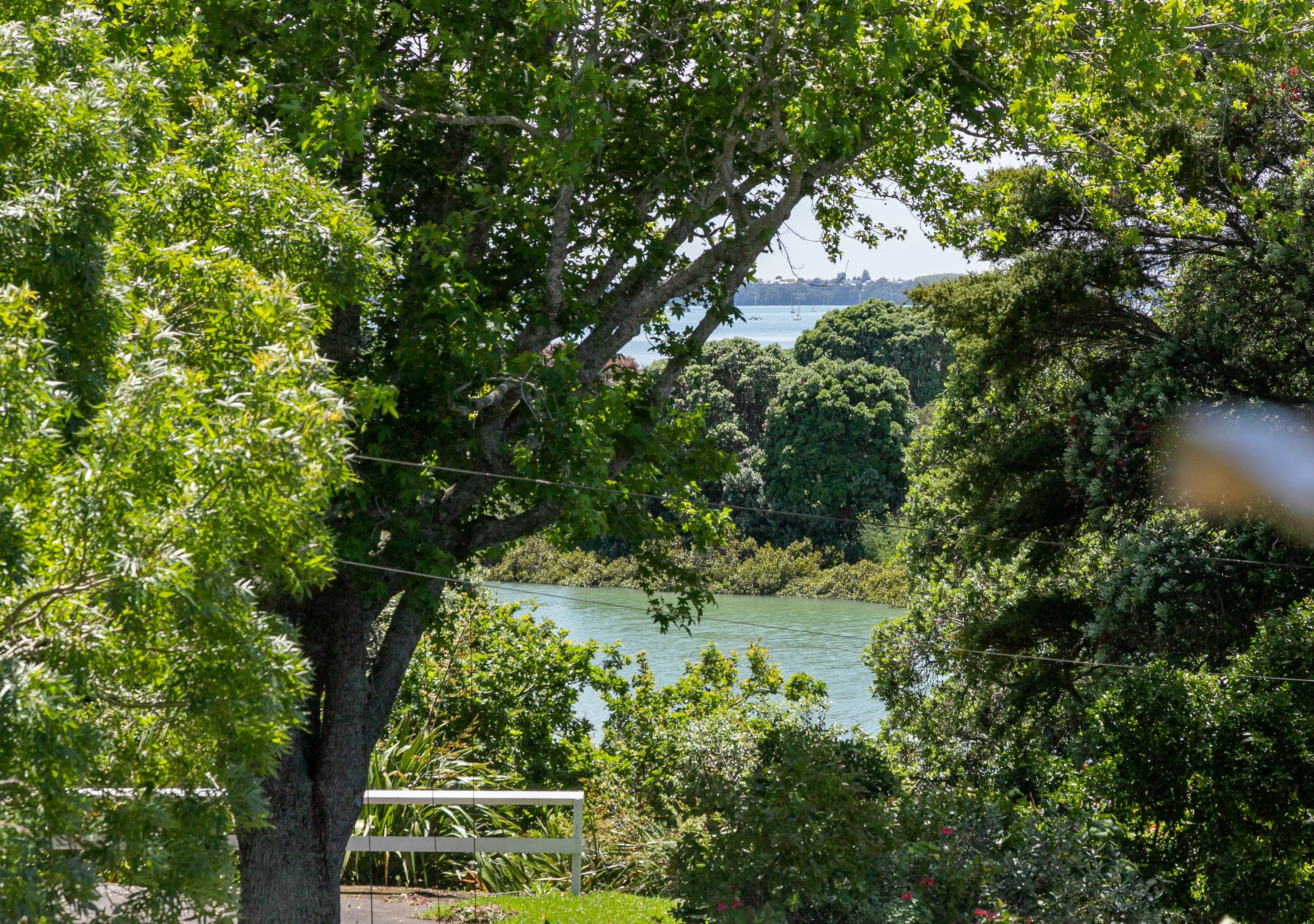 89 Dignan Street, Point Chevalier, – Home For Sale • Ray White New Zealand