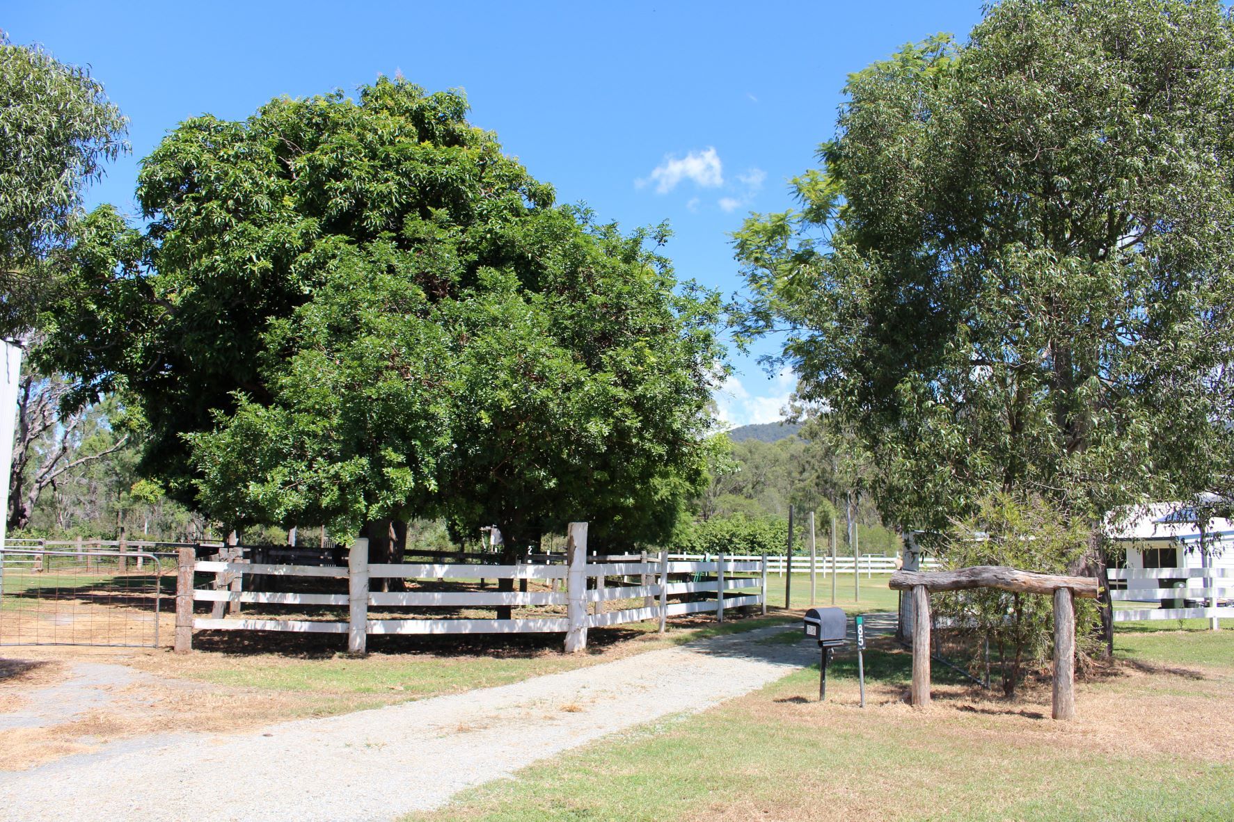 85 Springs Road, Bajool, QLD 4699 - Sold Rural Lifestyle Property - Ray ...