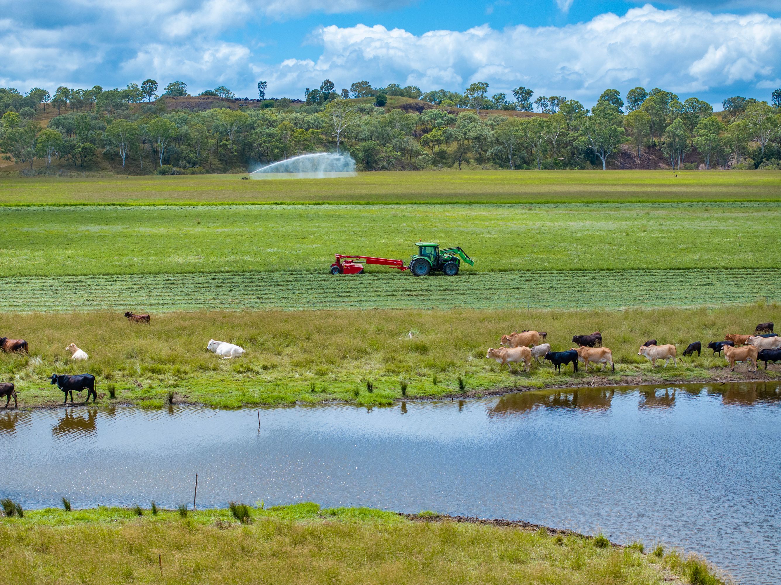 Ray White Rural Pittsworth