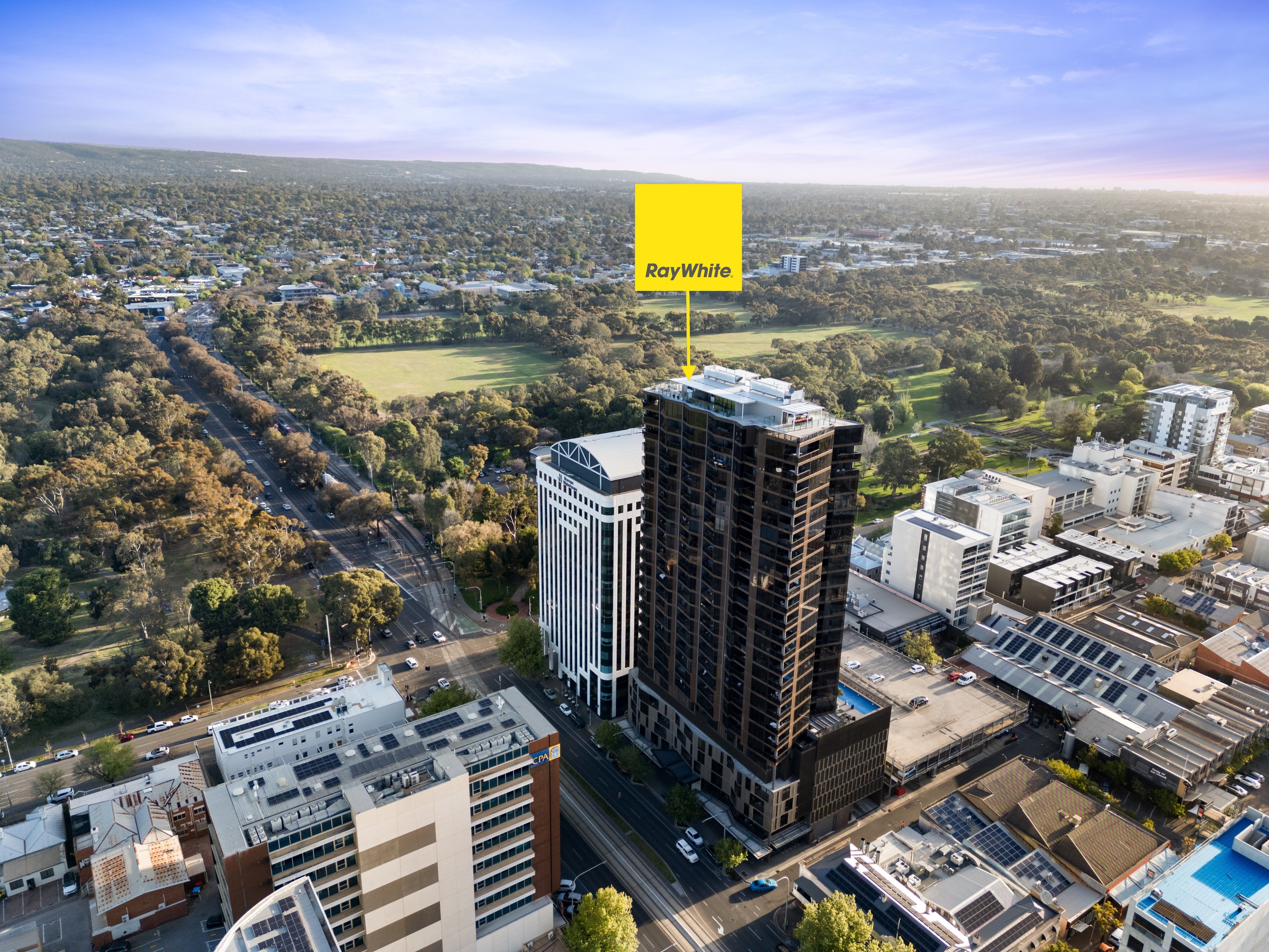 Ray White Adelaide City