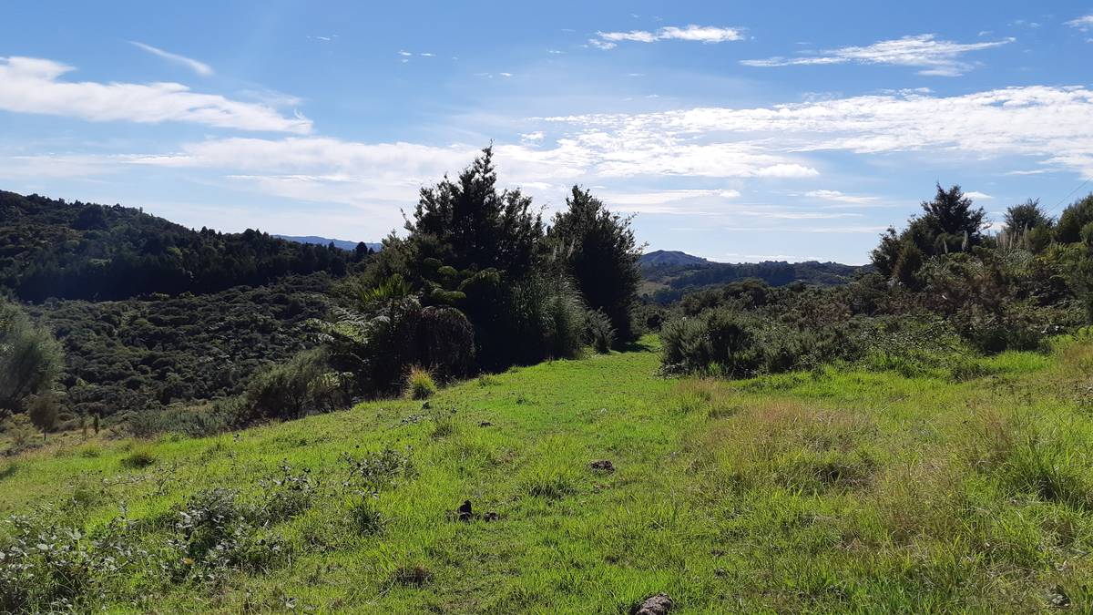 KAIKOHE SURROUNDS Northland 0000, Kaikohe Surrounds, Northland | Real ...