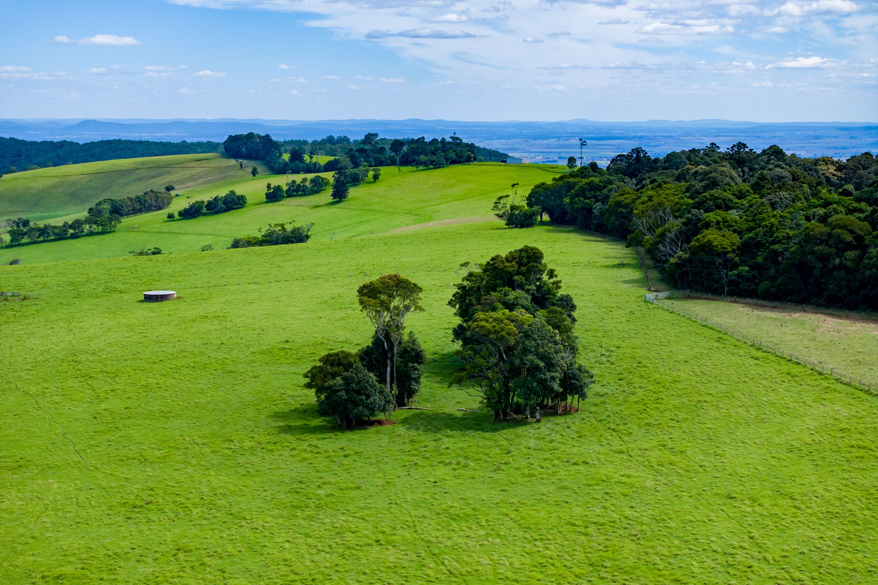 "Verdant Hills" - 889 Acacia Plateau Road, Legume, NSW 2476 - Sold ...