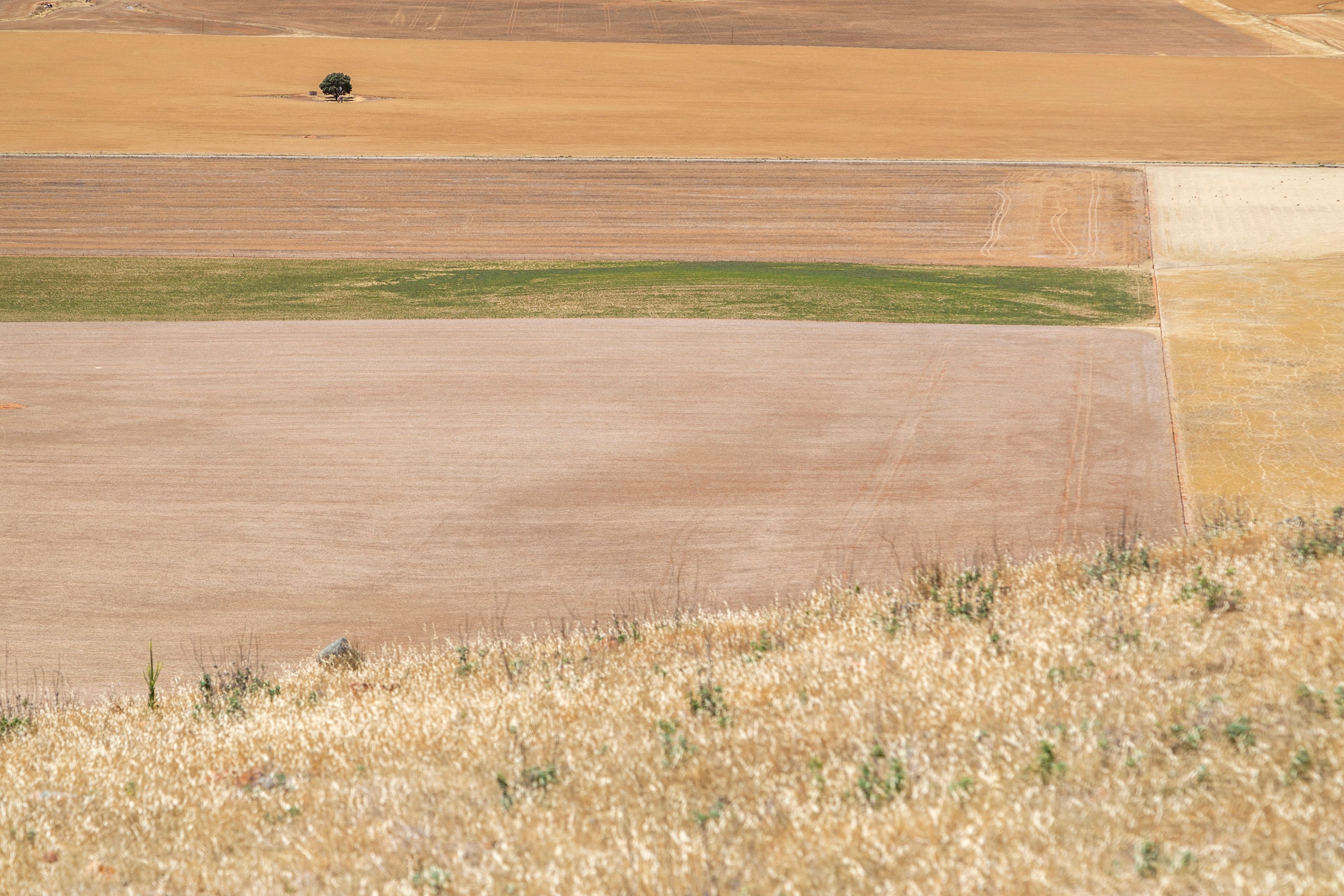 'The Bluff Range' Browns Road, Hallett, SA 5419 - Sold Rural Mixed ...