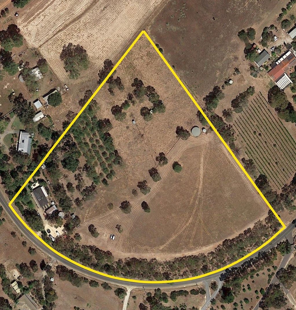 Ray White Tea Tree Gully