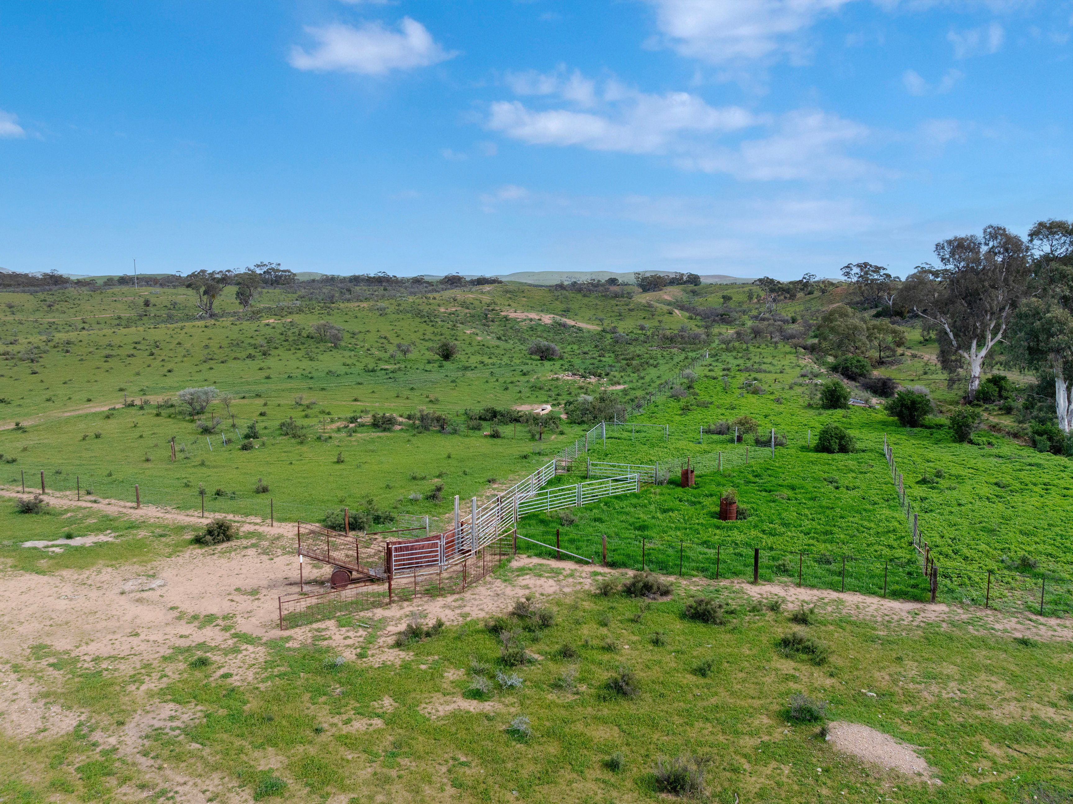 'Turner's House' Arthur Road, Orroroo, SA 5431 - Sold Rural Cropping ...