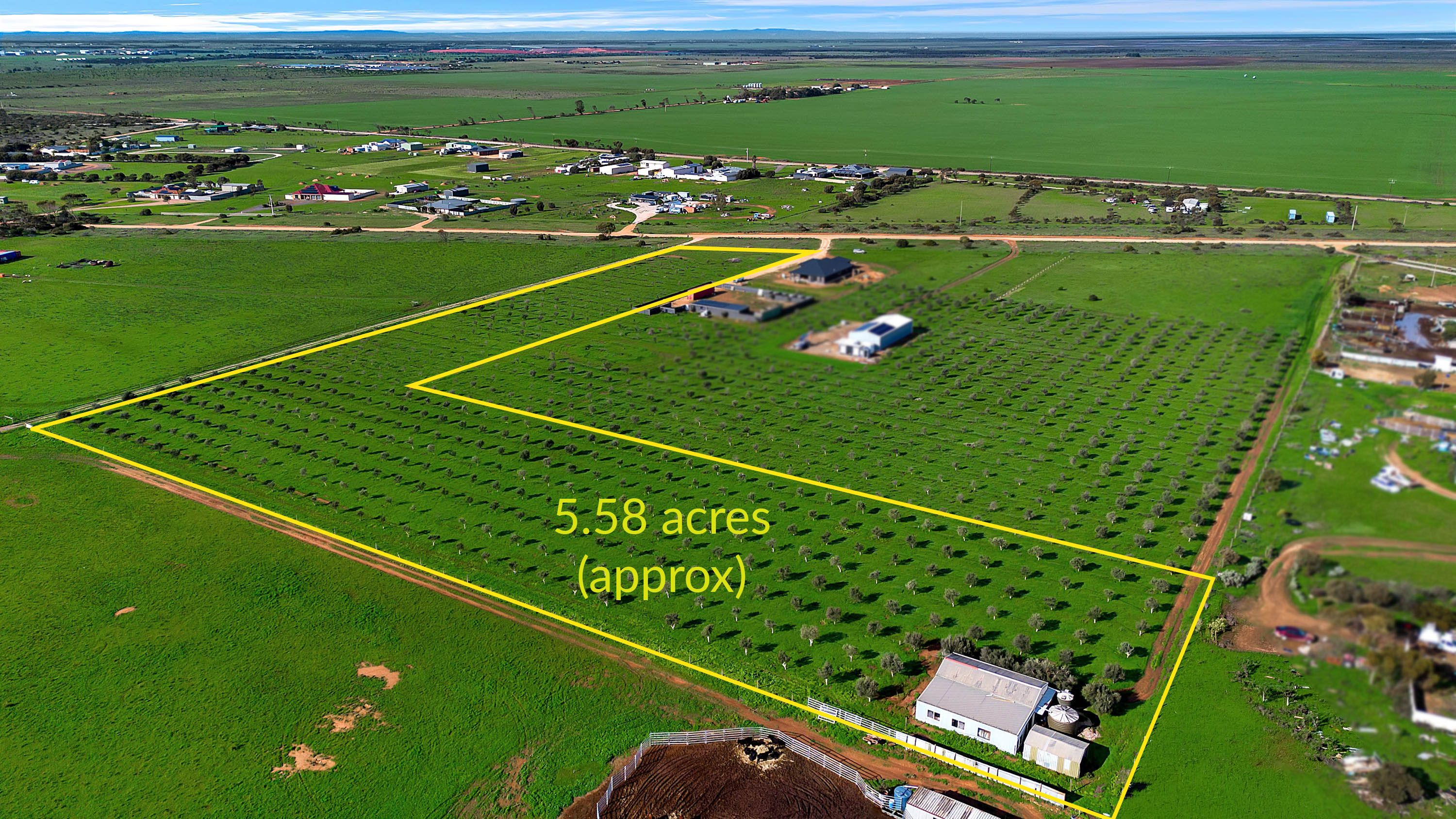 104 Schutt Road, Dublin, SA 5501 - Land for Sale - Ray White Barossa ...