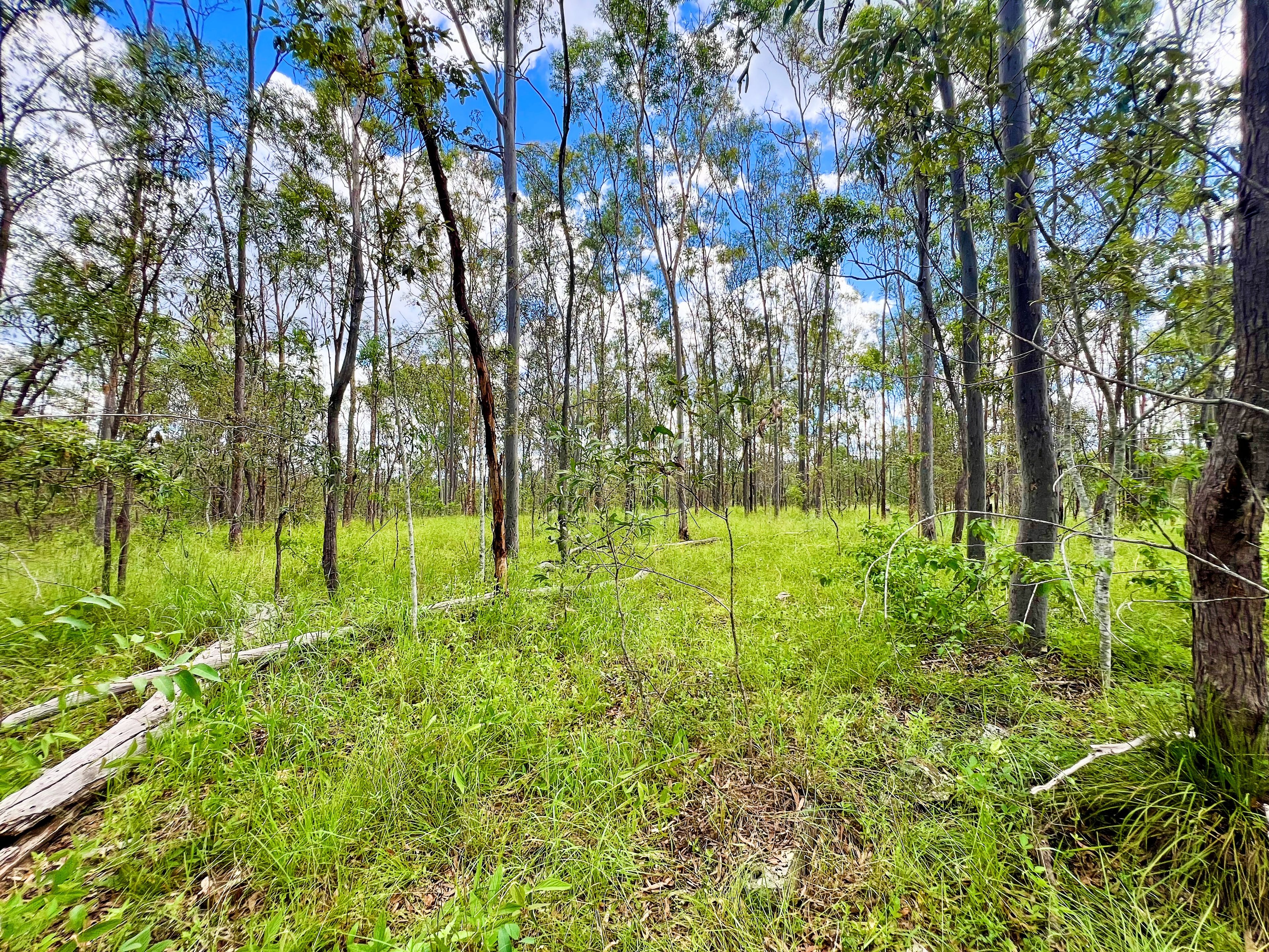 25 Robs Drive, Horse Camp, QLD 4671 - Sold Land - Ray White Bundaberg