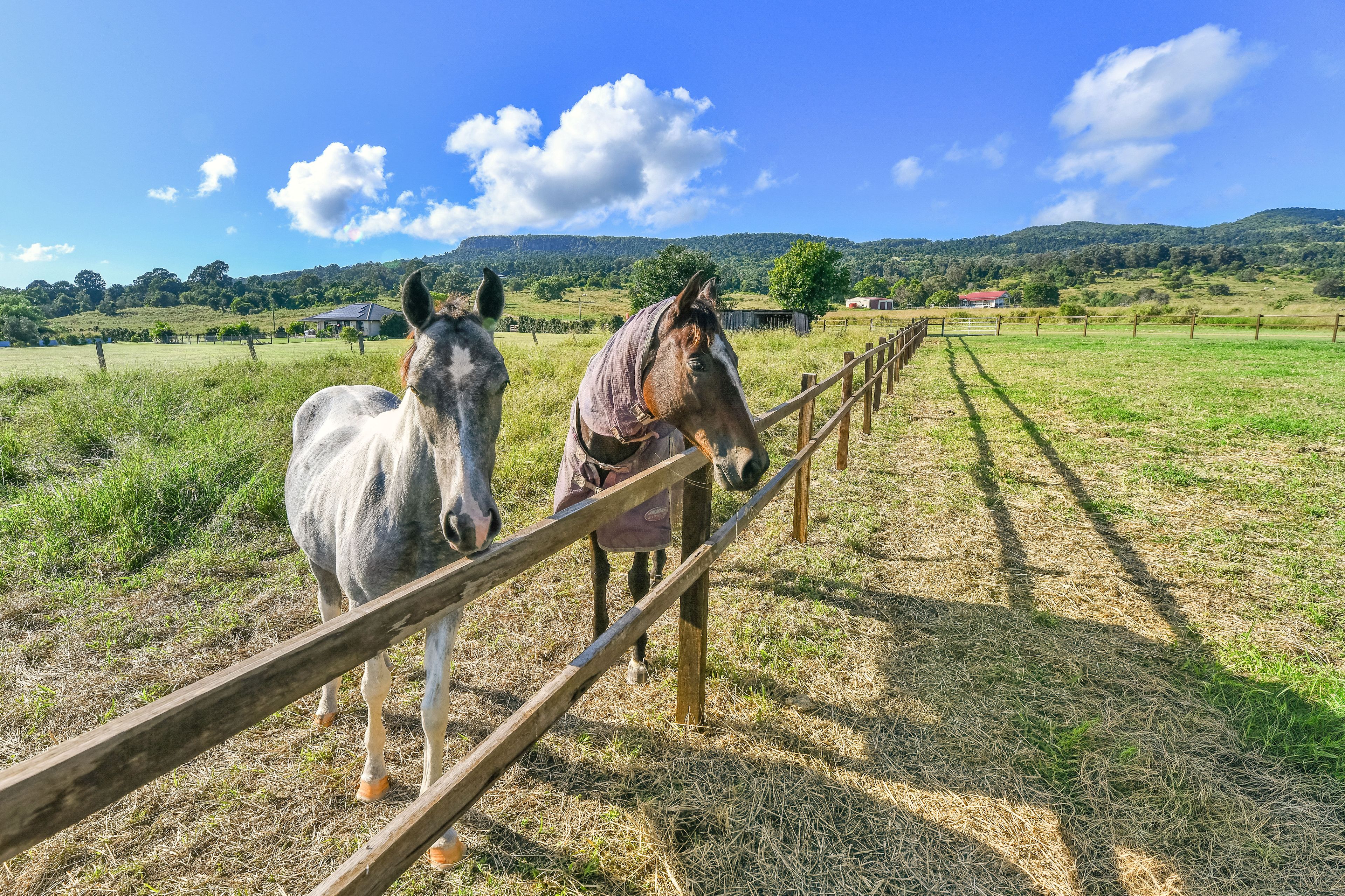 5 Peters Road, Fassifern Valley, QLD 4309 - Sold House - Ray White ...