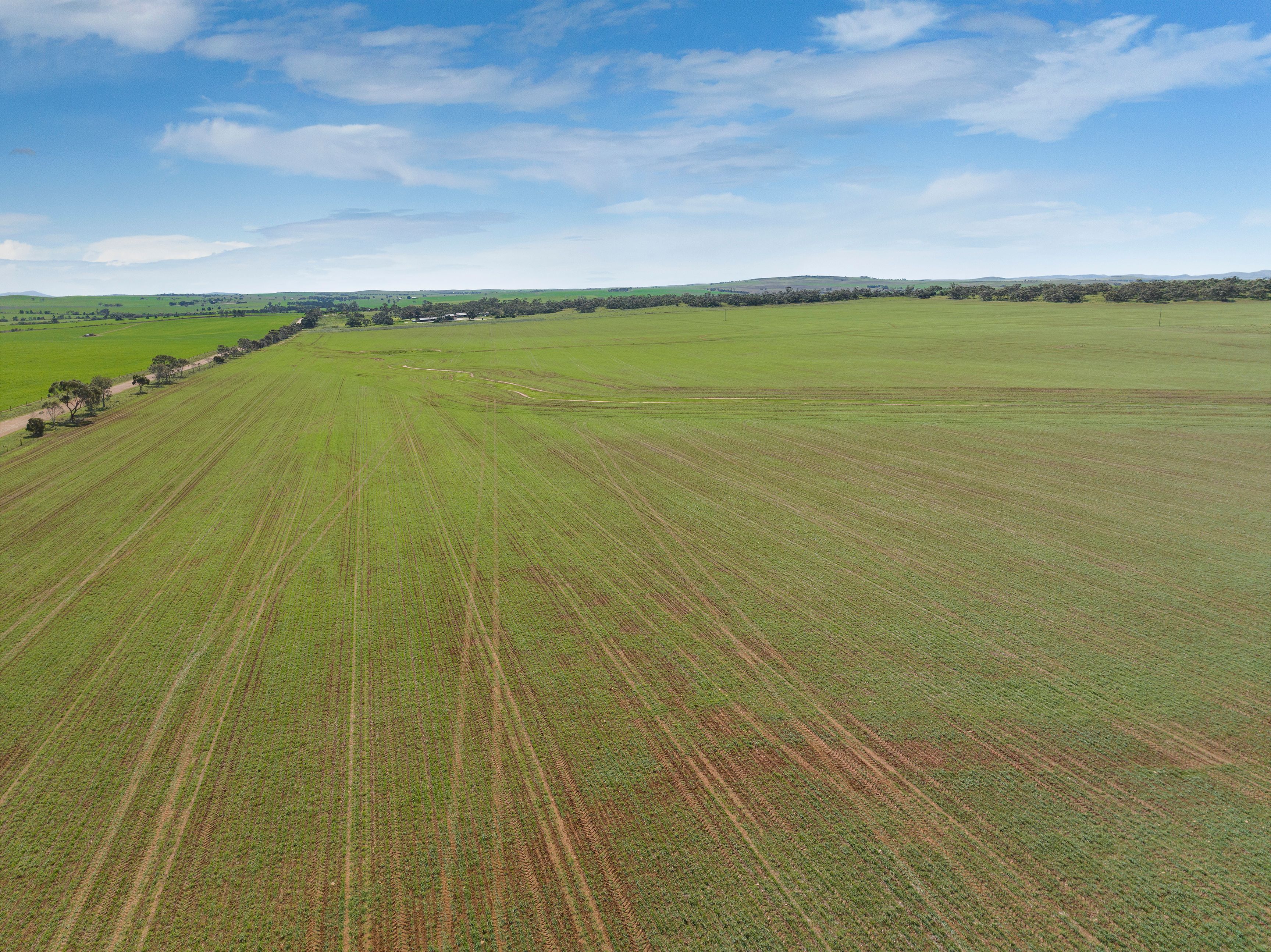 'Yangya' Powerline Road, Gladstone, SA 5473 - Sold Rural Cropping ...