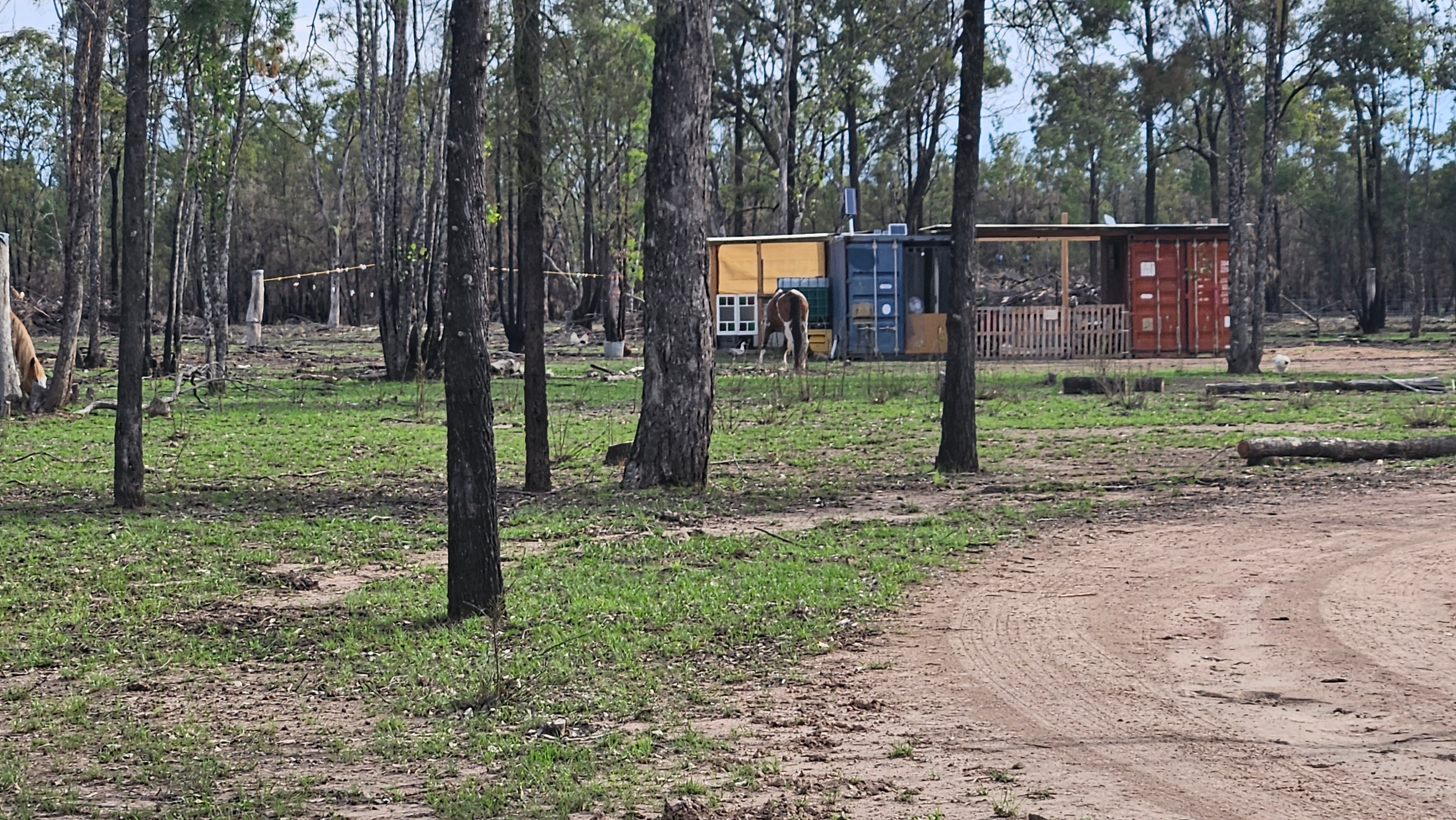 87 Emu Parade, Tara, QLD 4421 - Sold Rural Lifestyle Property - Ray ...