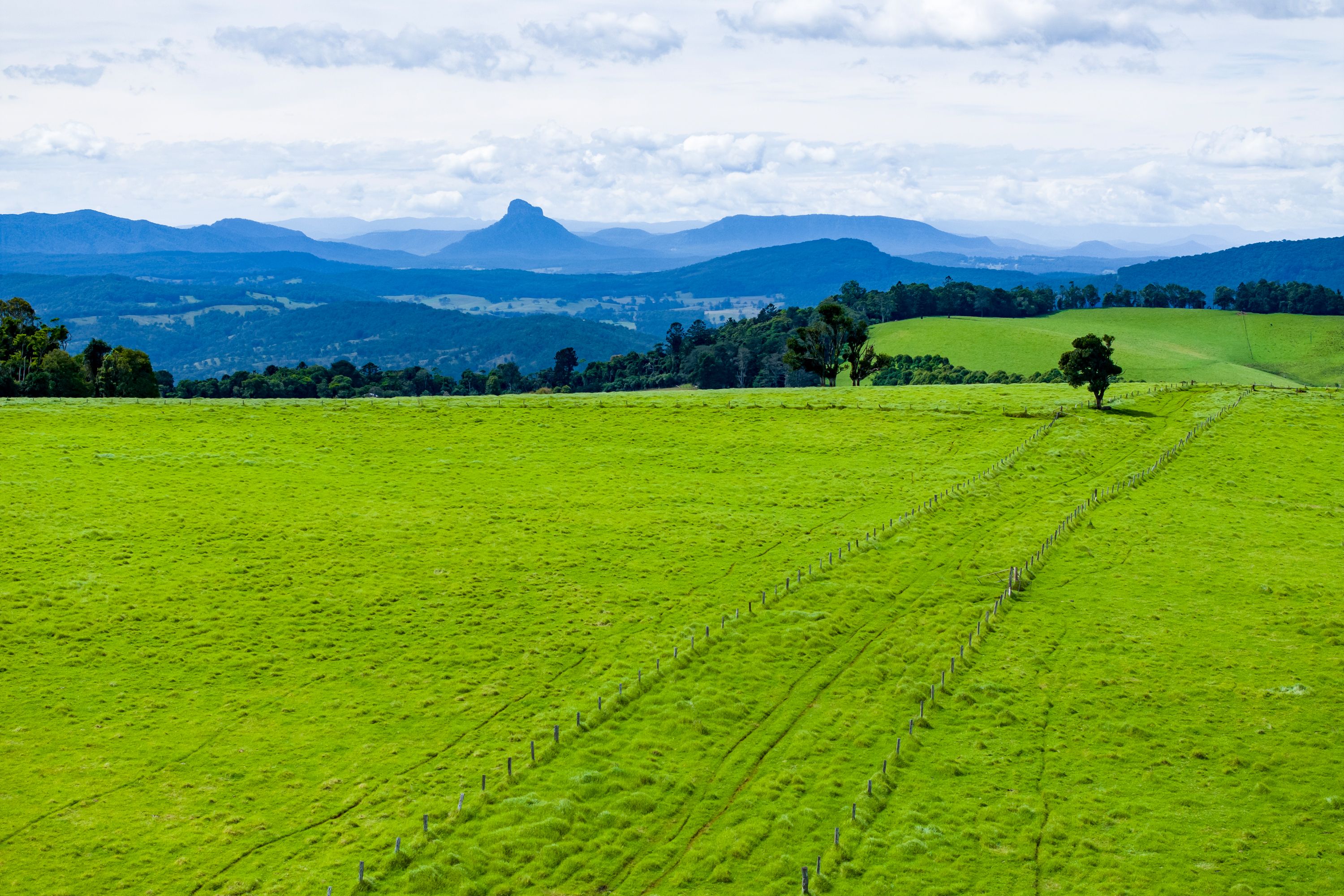 Ray White Rural Queensland