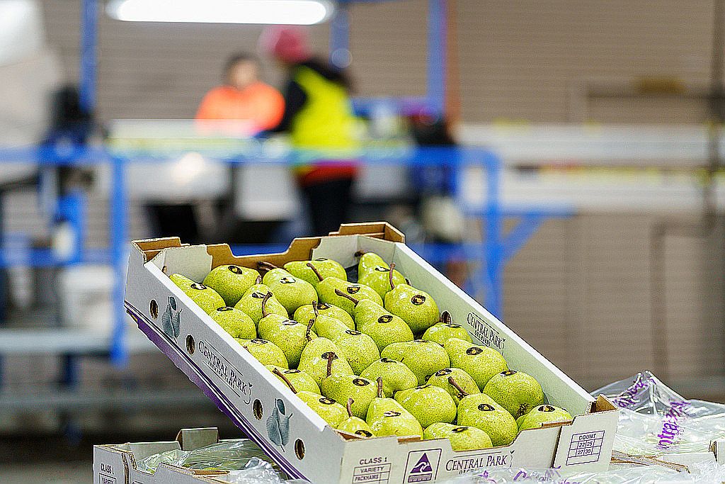 "Central Park Orchards" - 595 Channel Road, Shepparton East, VIC 3631 ...