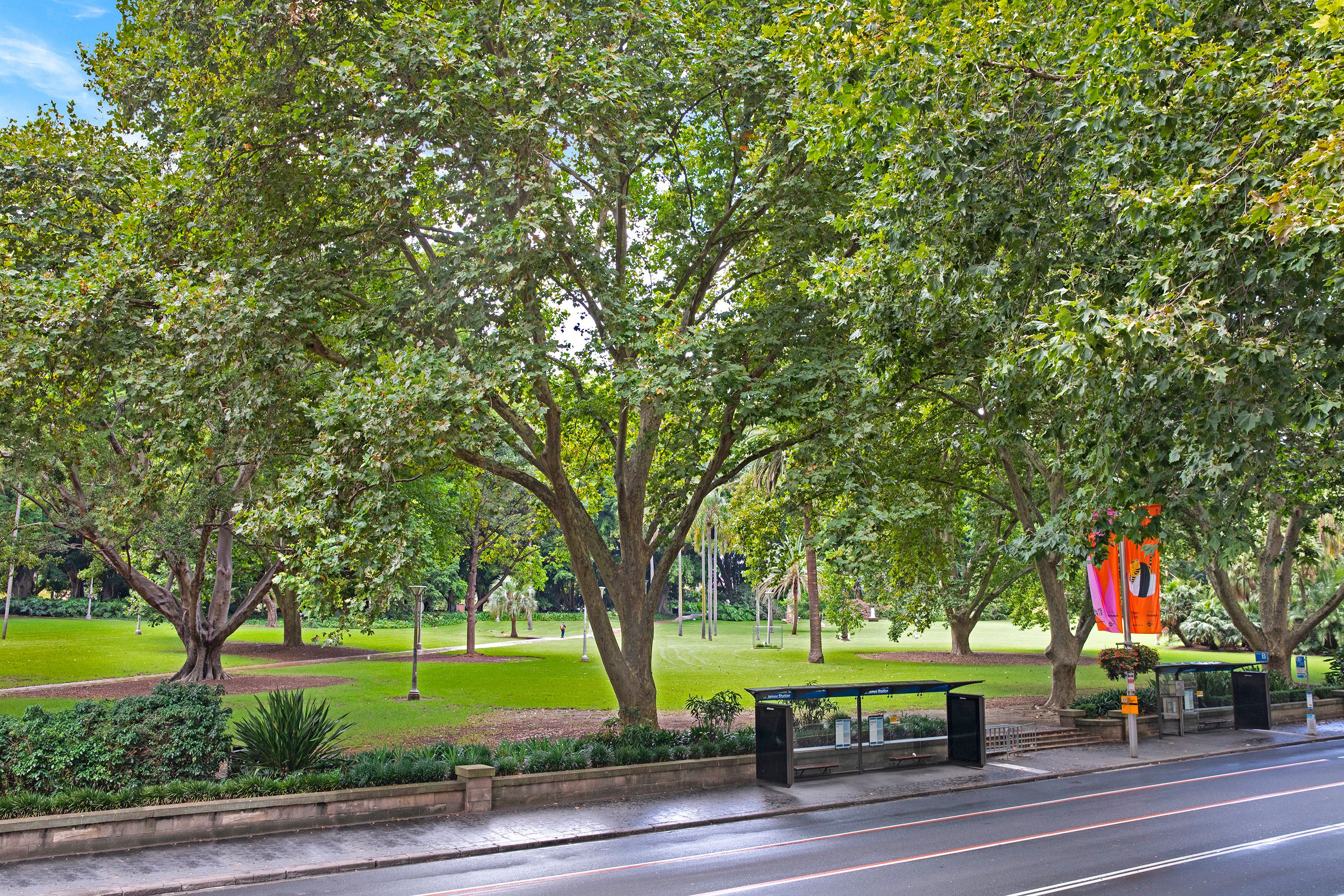 Ray White Residential Sydney CBD
