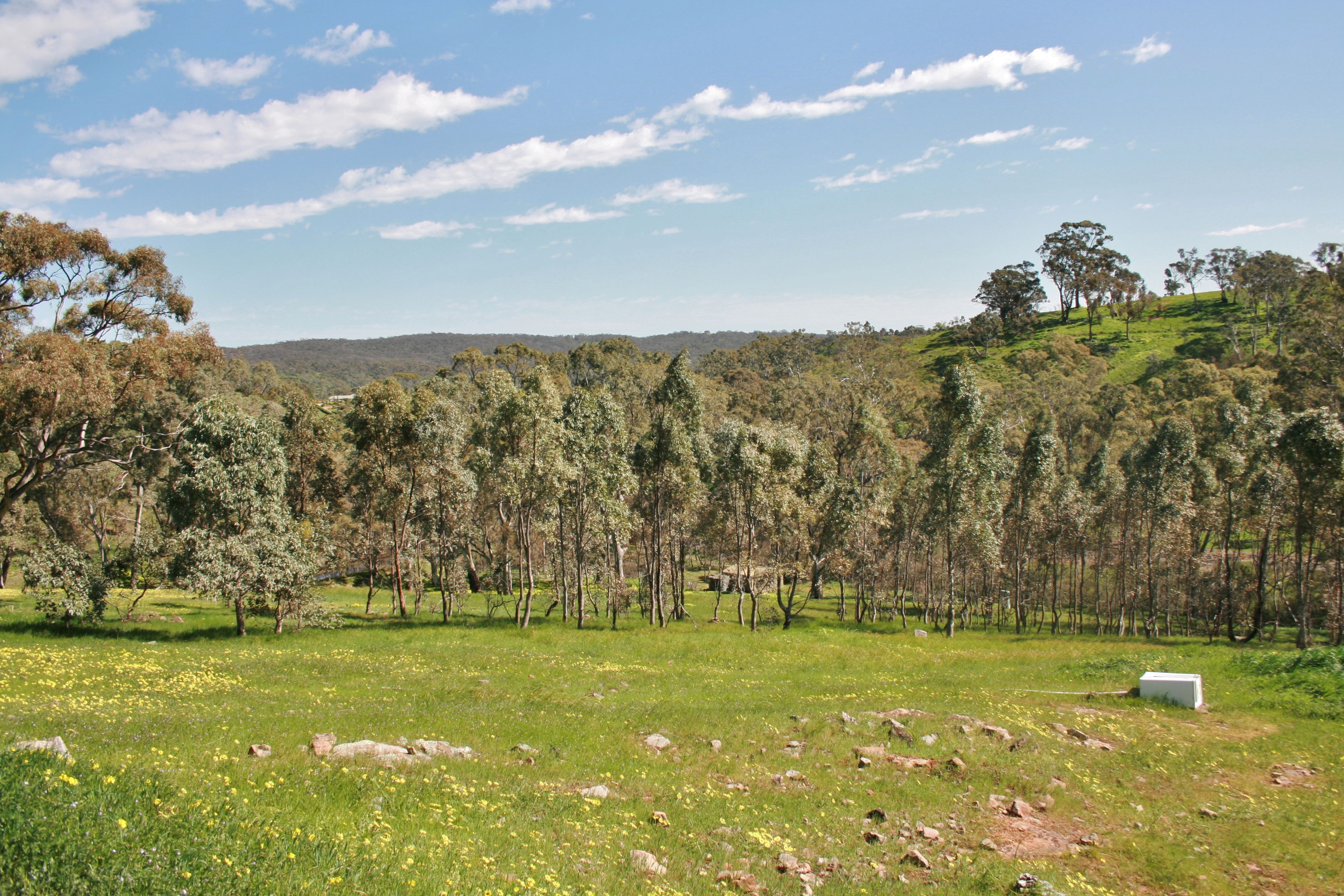 Lot 32 Horrocks Road, Penwortham, SA 5453 - Sold Land - Ray White Clare ...