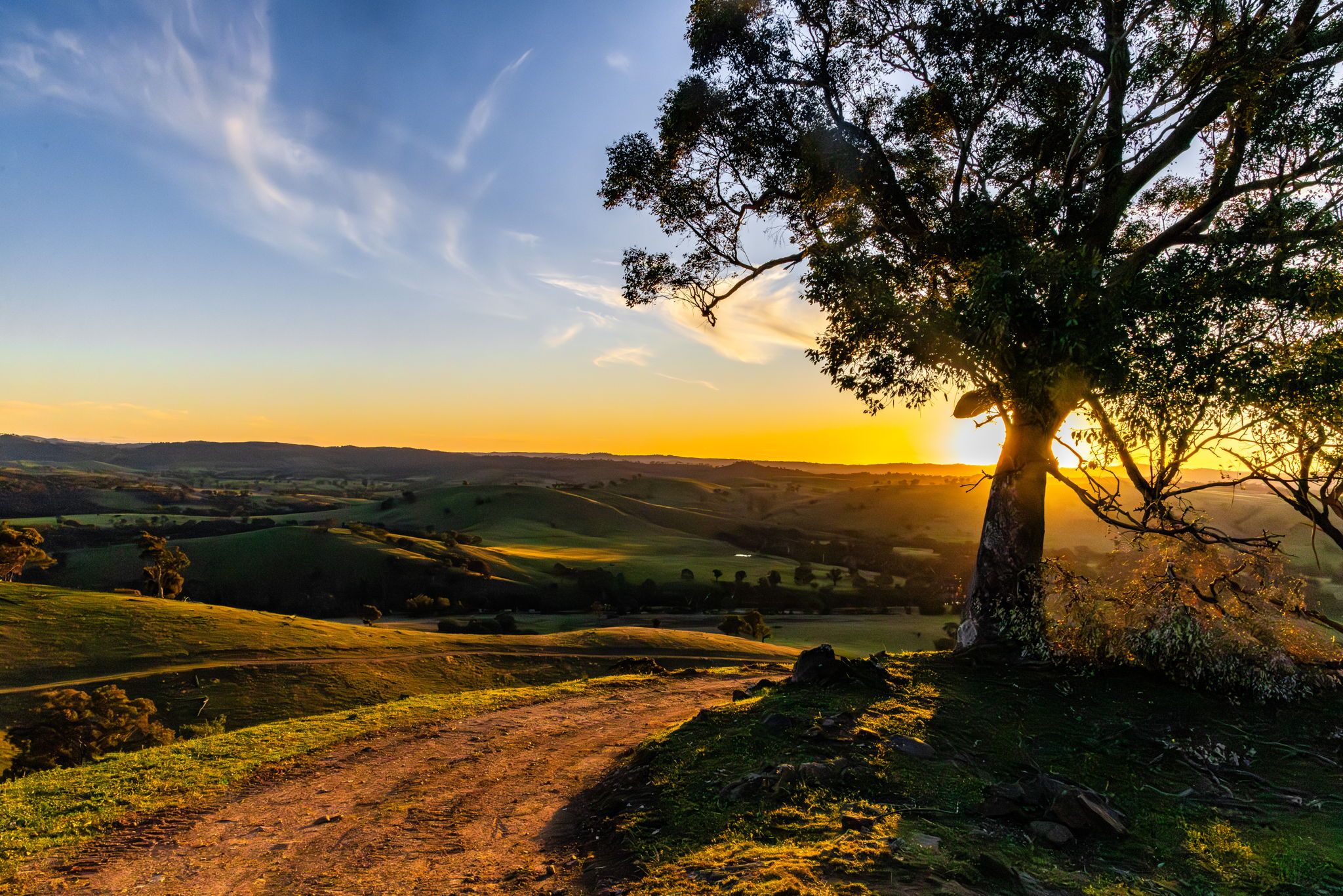 "The Junction" Mulgowrie Road, CROOKWELL, NSW 2583 - Sold Land - Ray ...