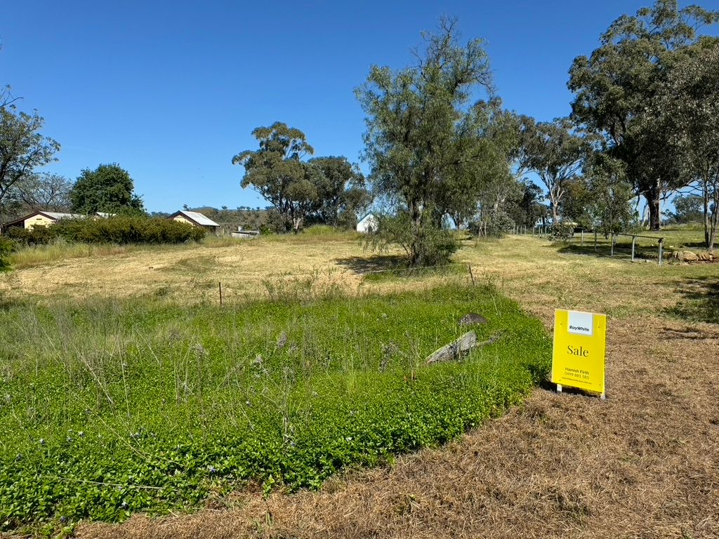 25 Ellerston Street, Moonan Flat, NSW 2337 - Sold Land - Ray White ...