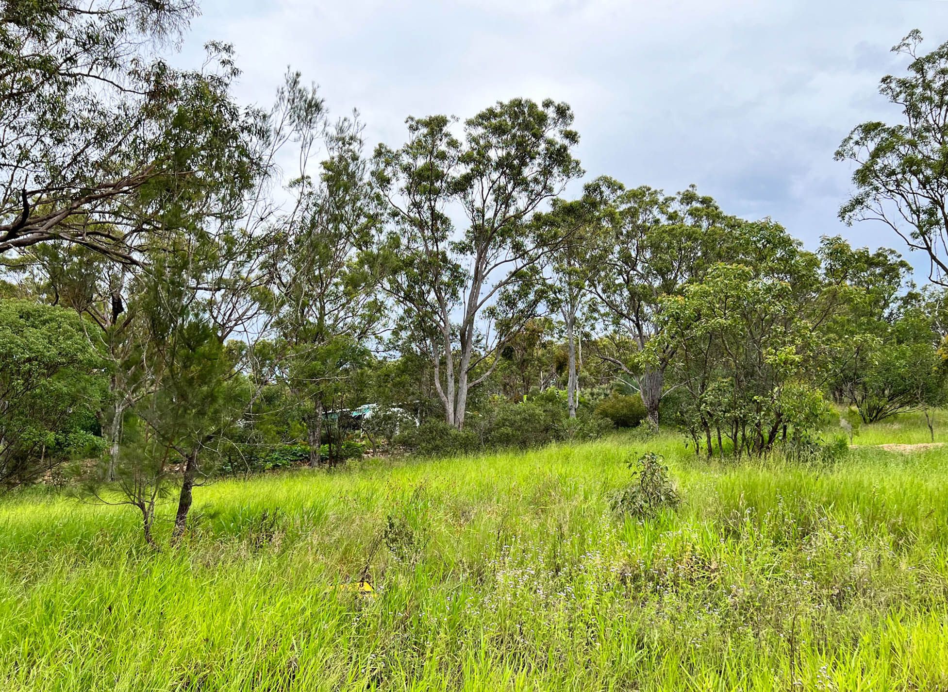 Ray White Rural Atherton