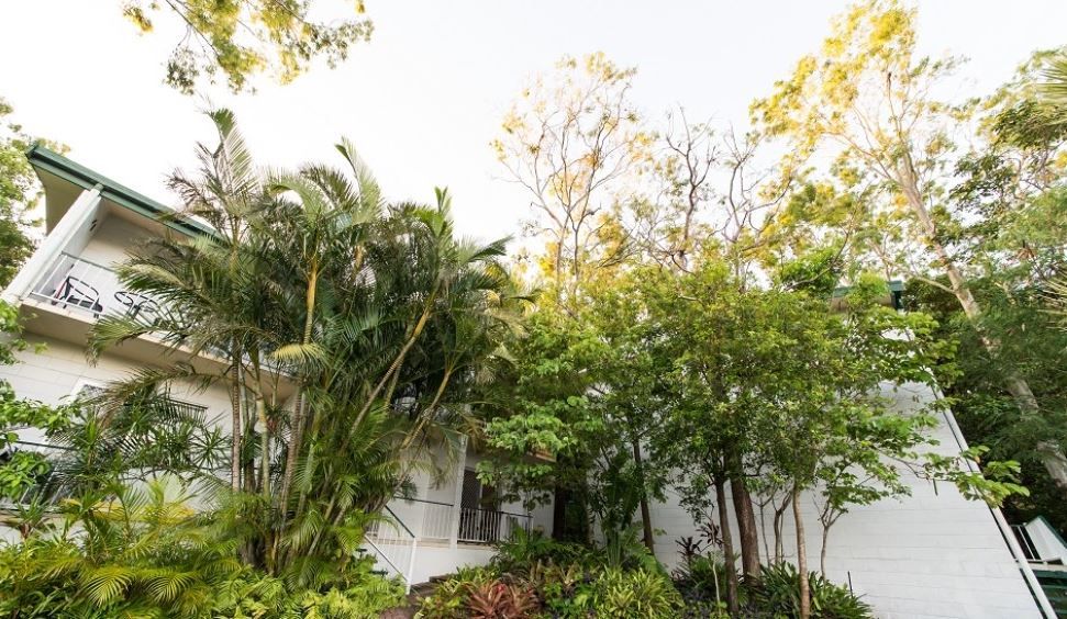 1/7 Begley Street, Airlie Beach, QLD 4802 - Unit for Rent - Ray White ...