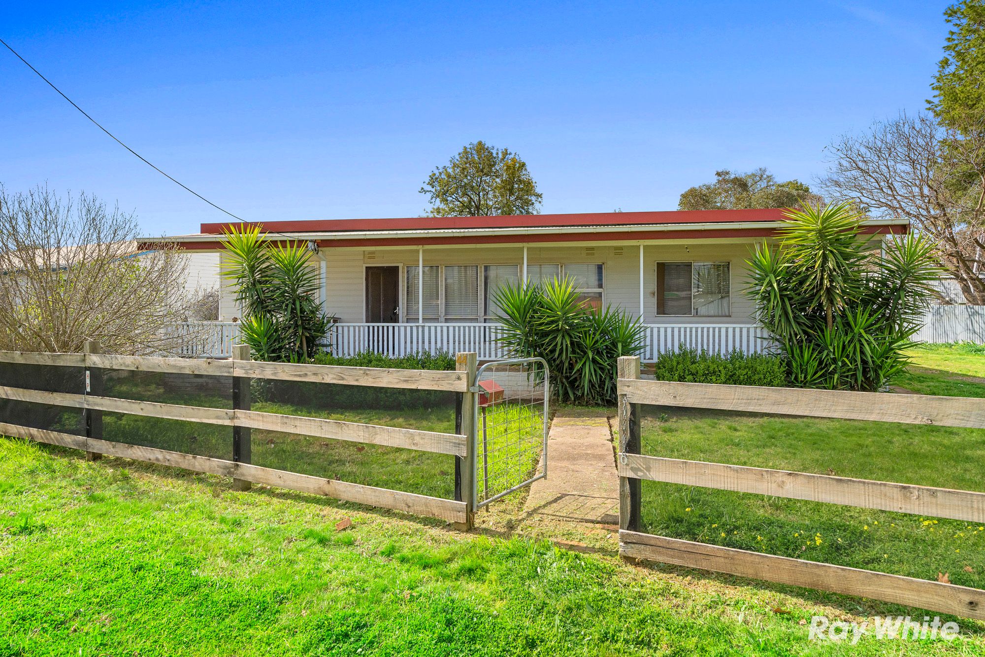 Properties for sale in Junee - Ray White Wagga Wagga