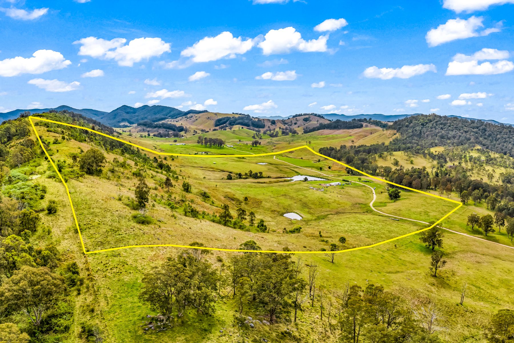 Ray White Livestock & Real Estate Gloucester