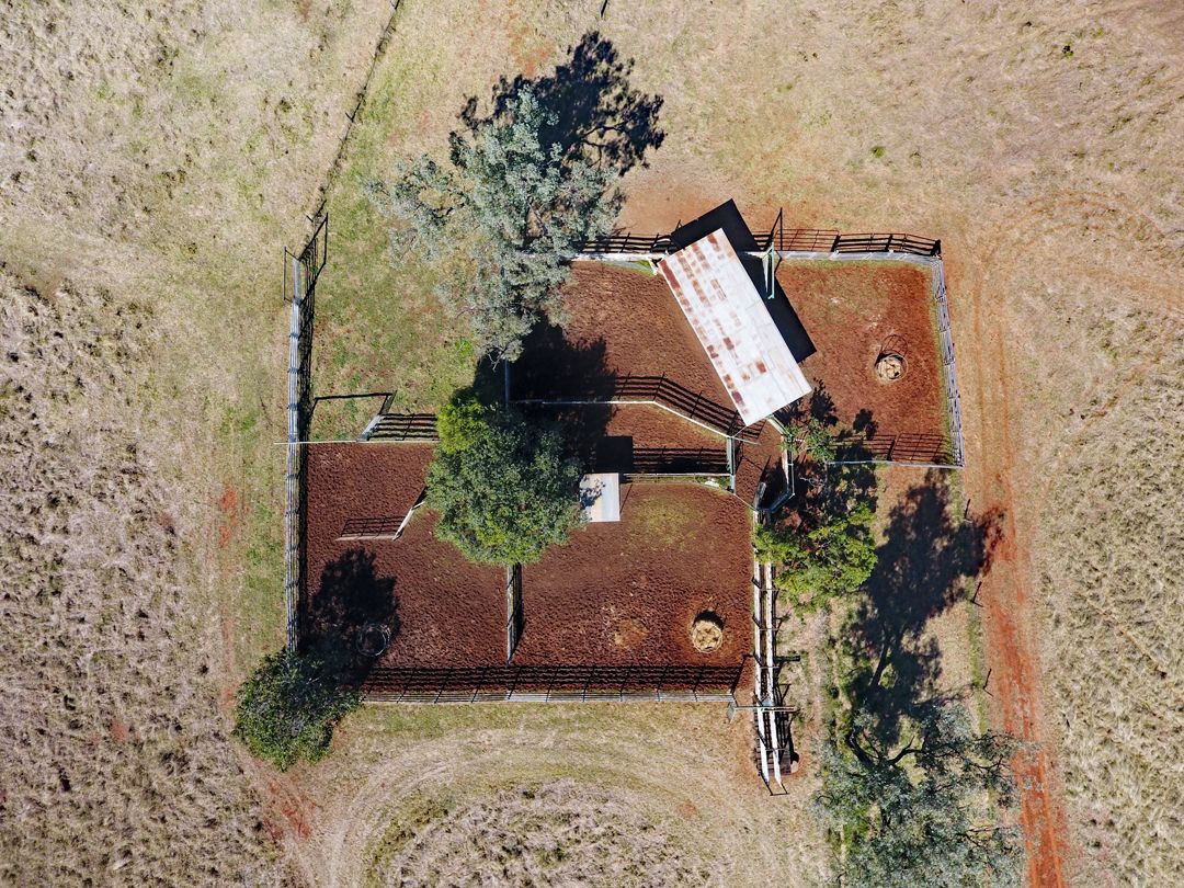 Brentwood/171 Lucys Road, Goovigen, QLD 4702 - Sold Rural Property ...