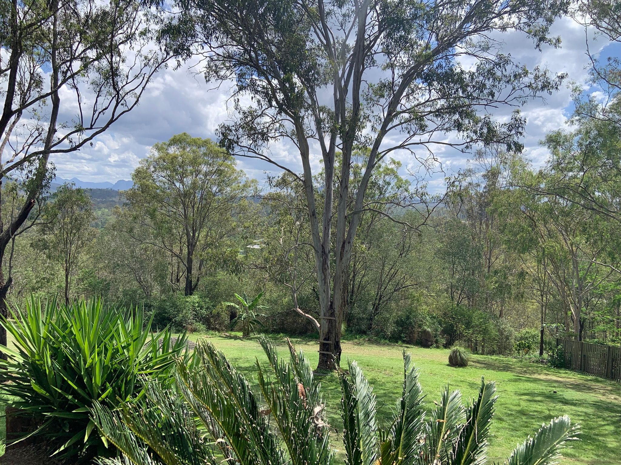 Kooralbyn, QLD 4285 - Leased House - Ray White Rural Beaudesert