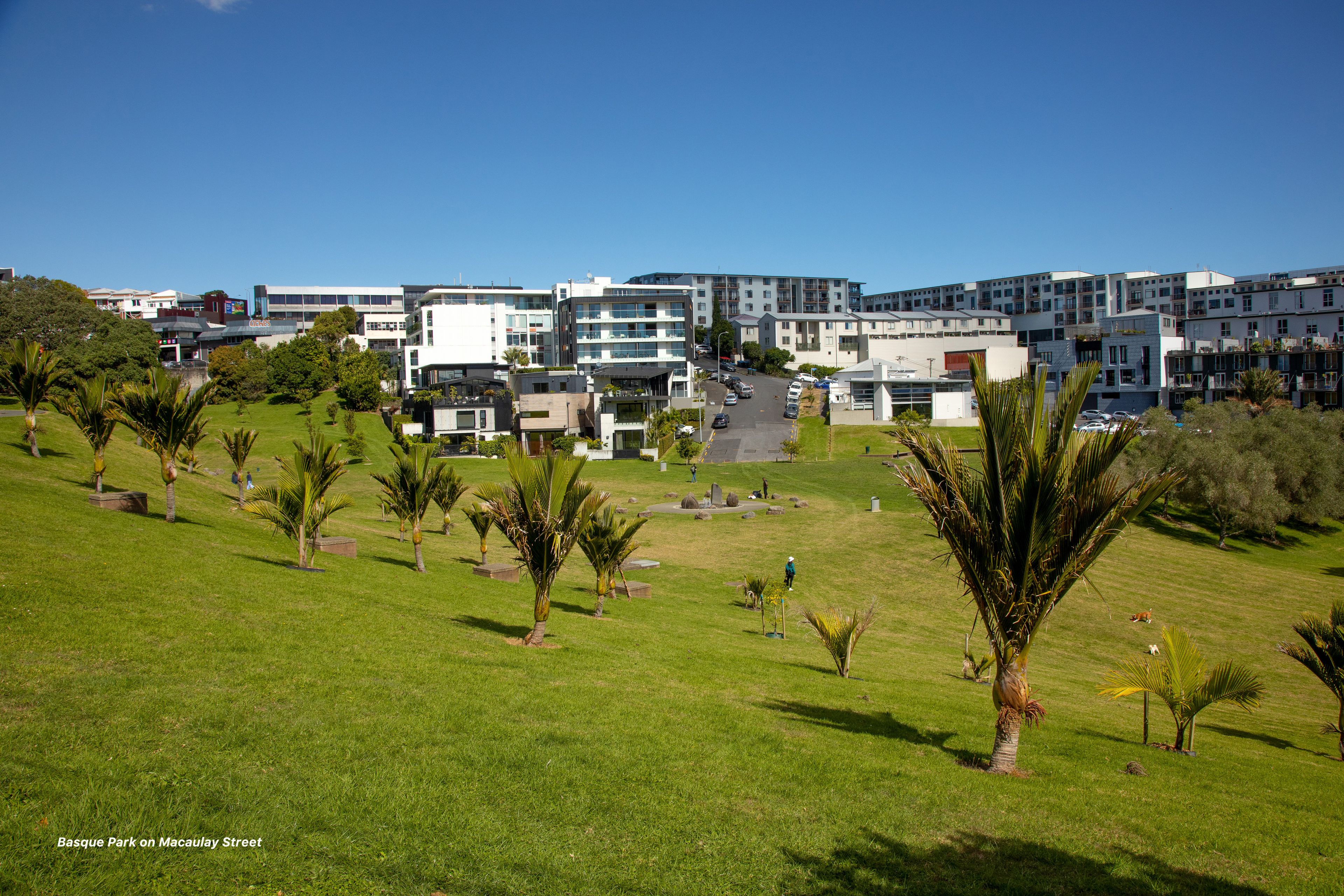 Ray White Pt Chevalier