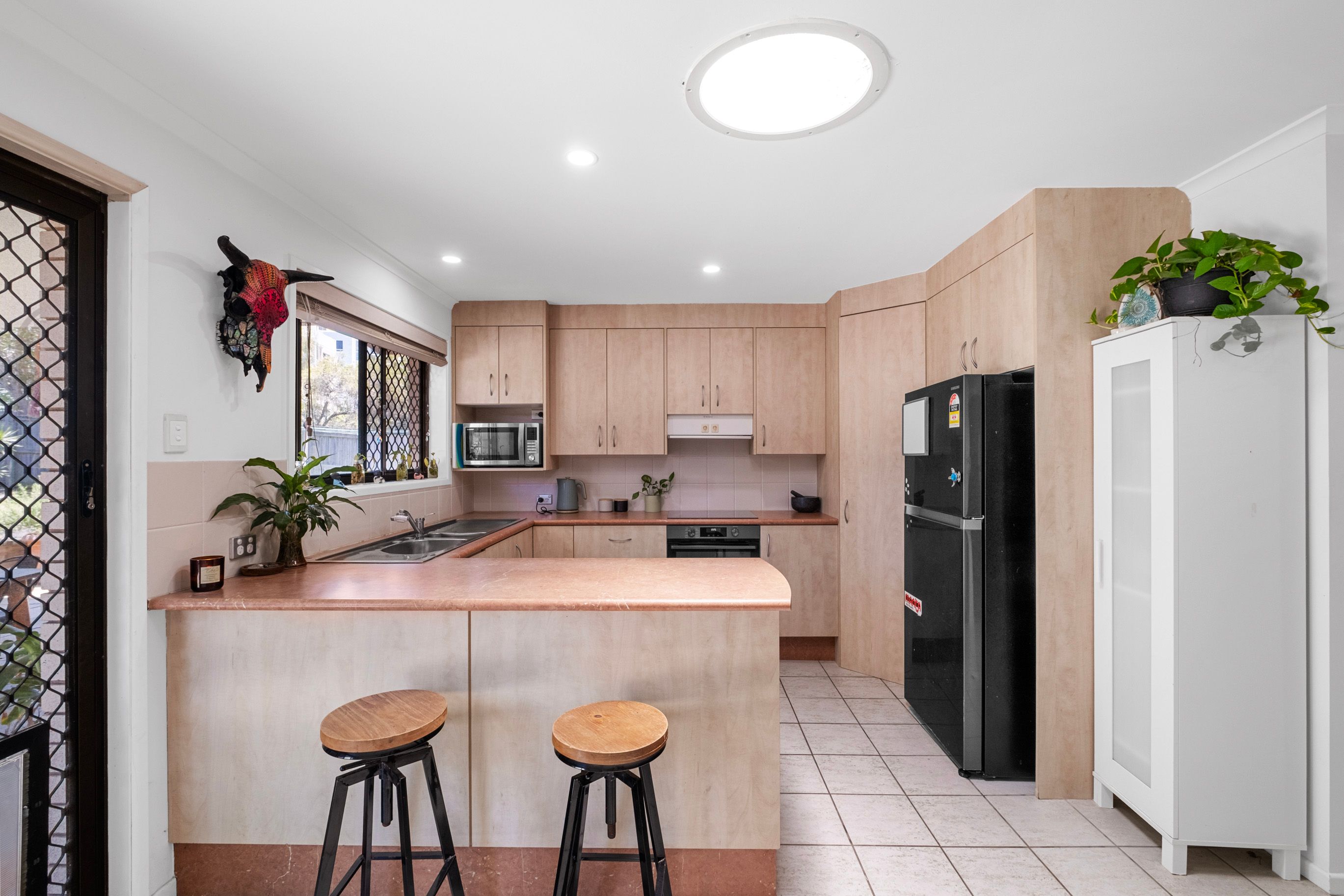 85 Iluka Avenue, Buddina, QLD 4575 - House for Sale - Ray White Kawana ...