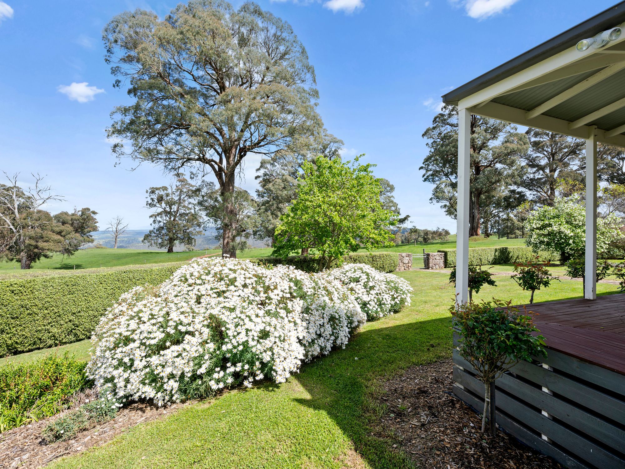 1011 Tabletop Road, Tolmie, VIC 3723 - Rural Lifestyle Property for ...