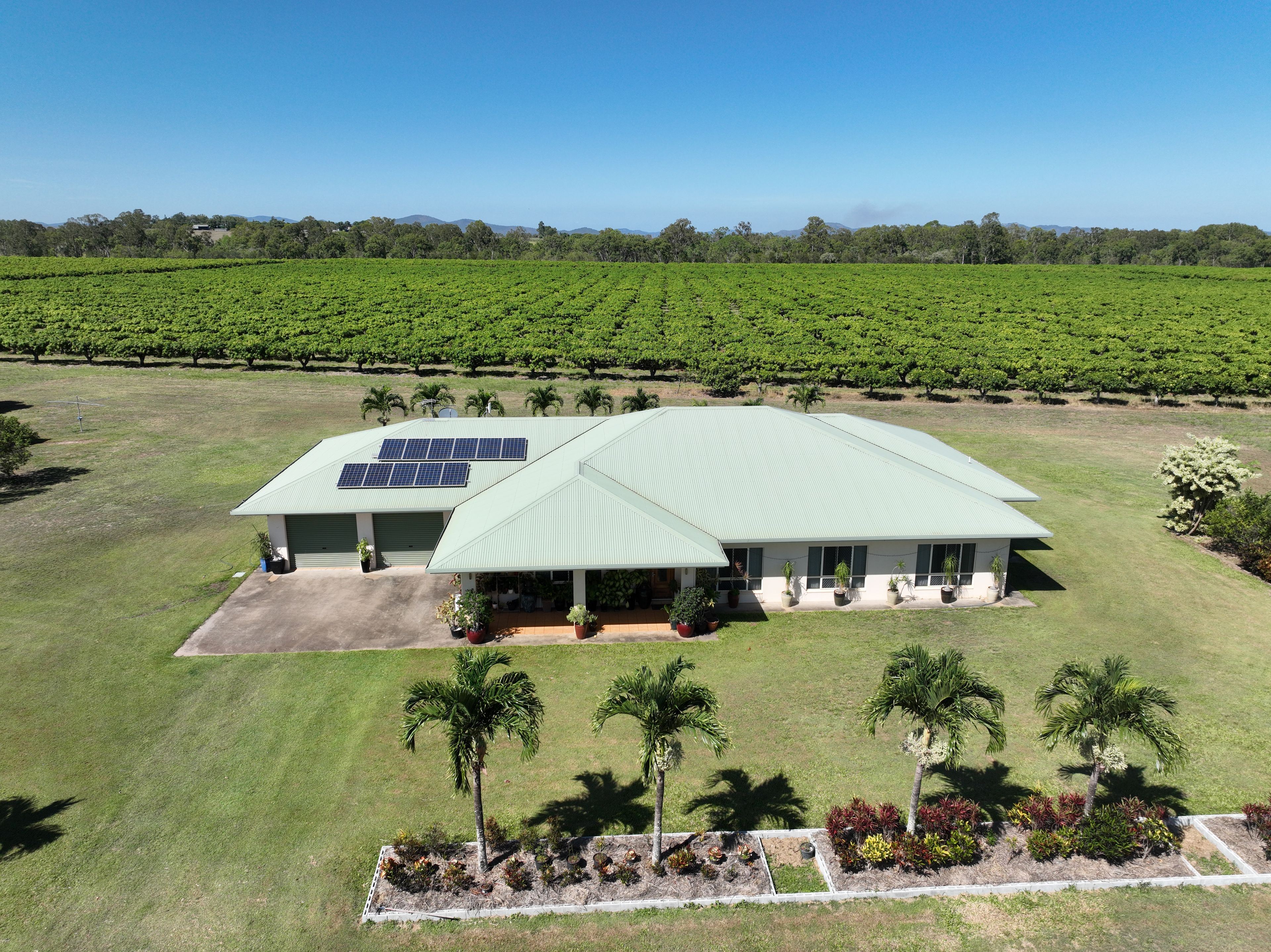 Chewko, QLD 4880 - Rural Horticulture Property for Sale - Ray White ...