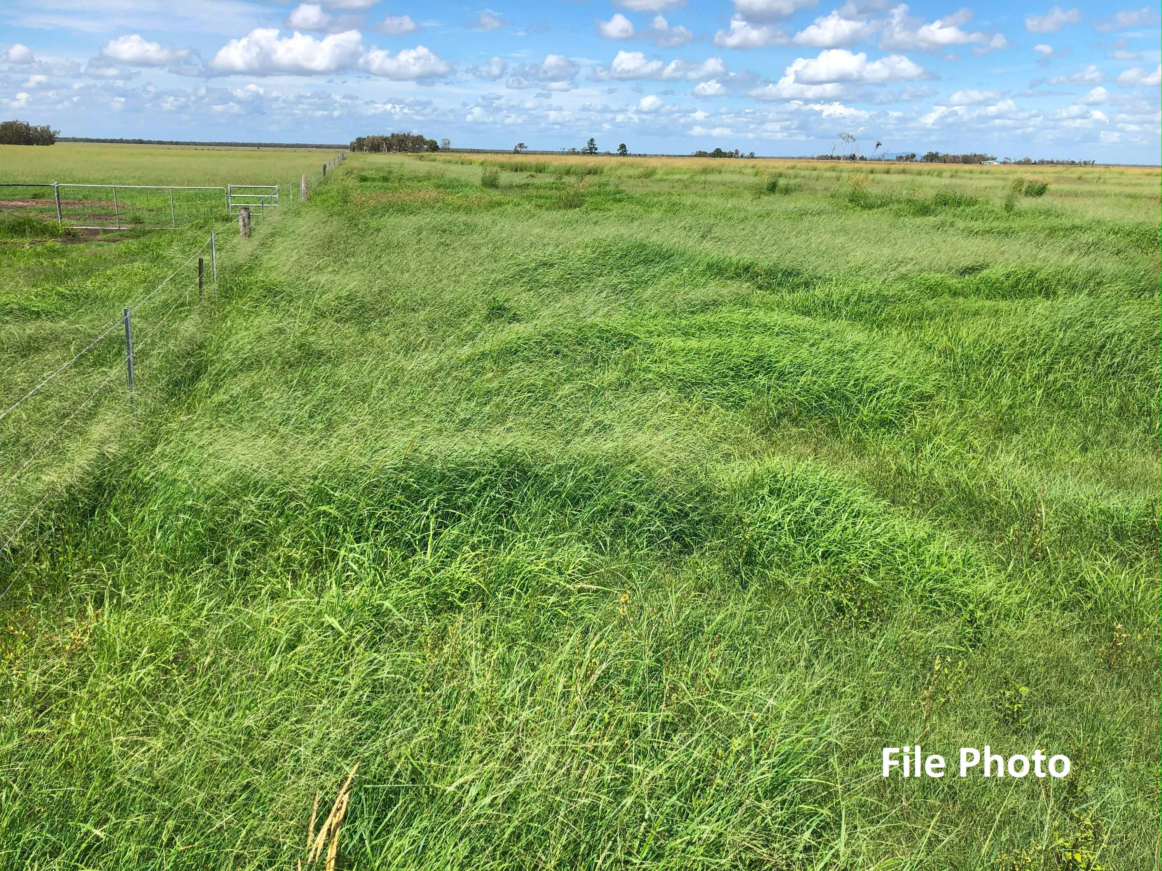 458 Dimond Road, BEAVER ROCK, Maryborough, QLD 4650 - Sold Rural ...