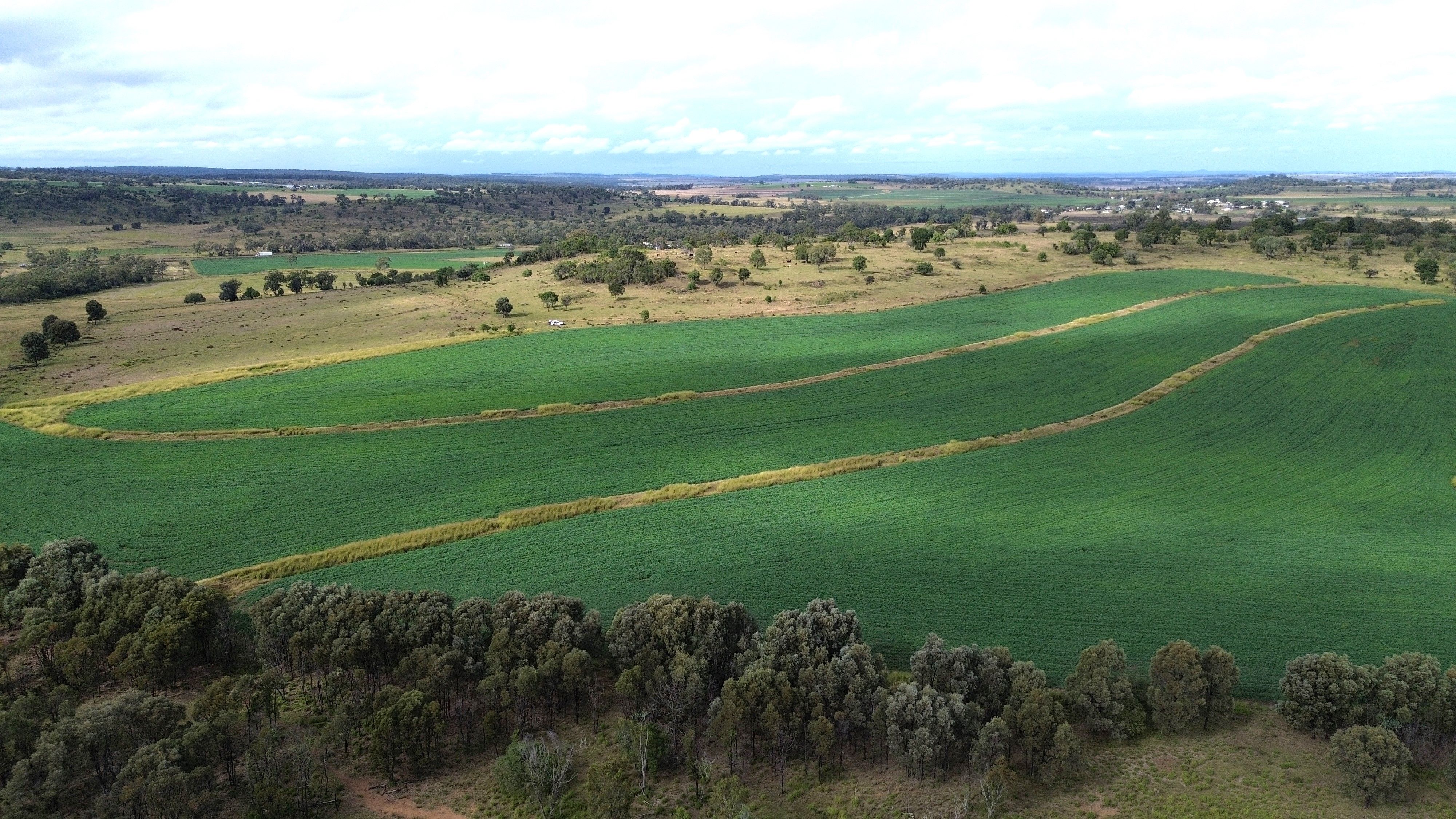 Lot 223 Oakey Cooyar Road, Kulpi, QLD 4352 - Sold Rural Property - Ray ...