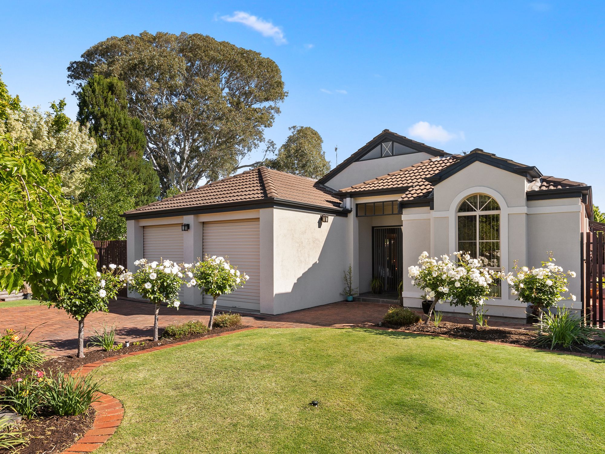 29 Pegasus Drive, Woodcroft, SA 5162 - Sold House - Ray White Morphett ...