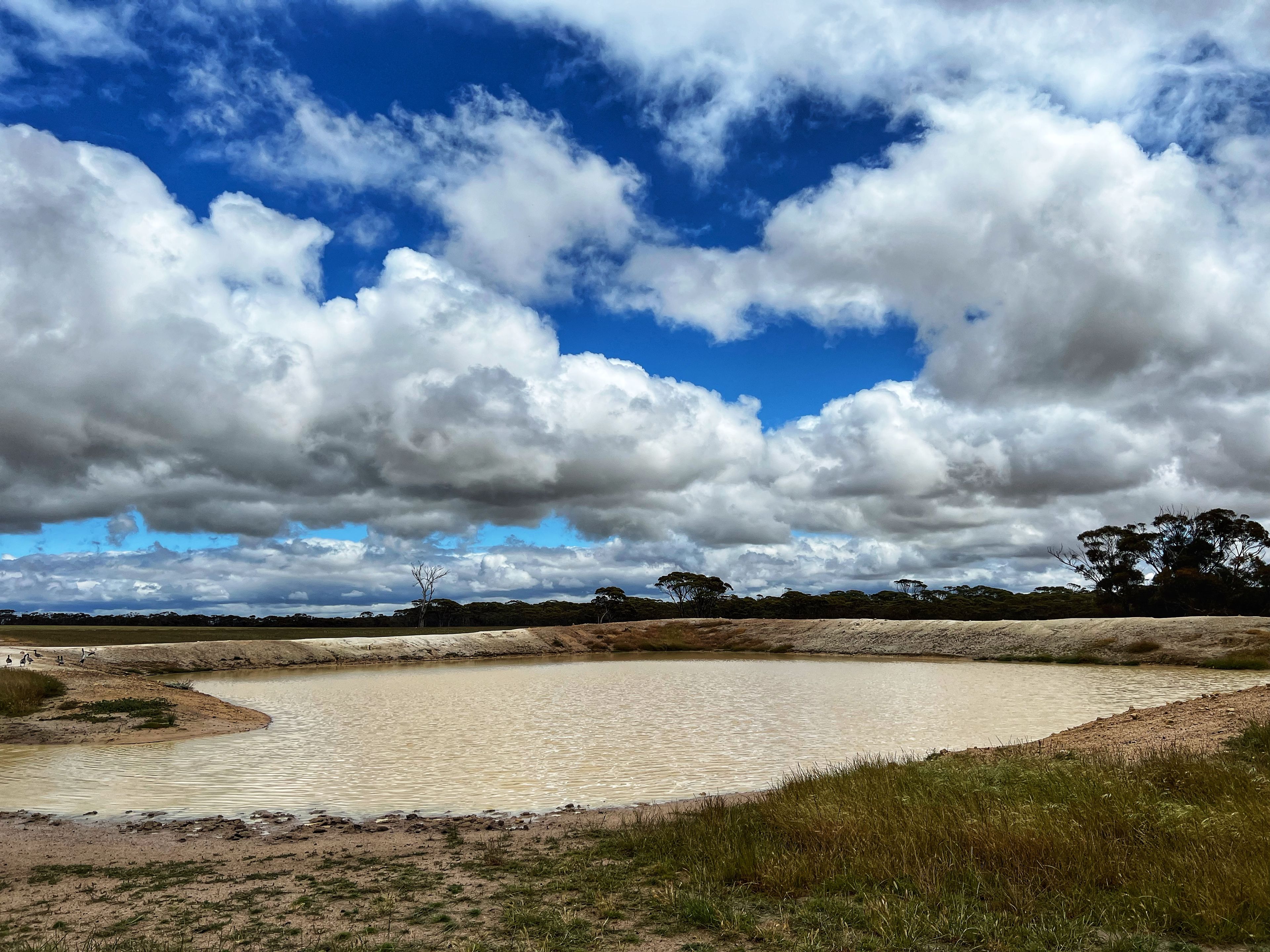 "GLENWARRI" - 678 East Road, Pingrup, WA 6343 - Sold Rural Mixed ...