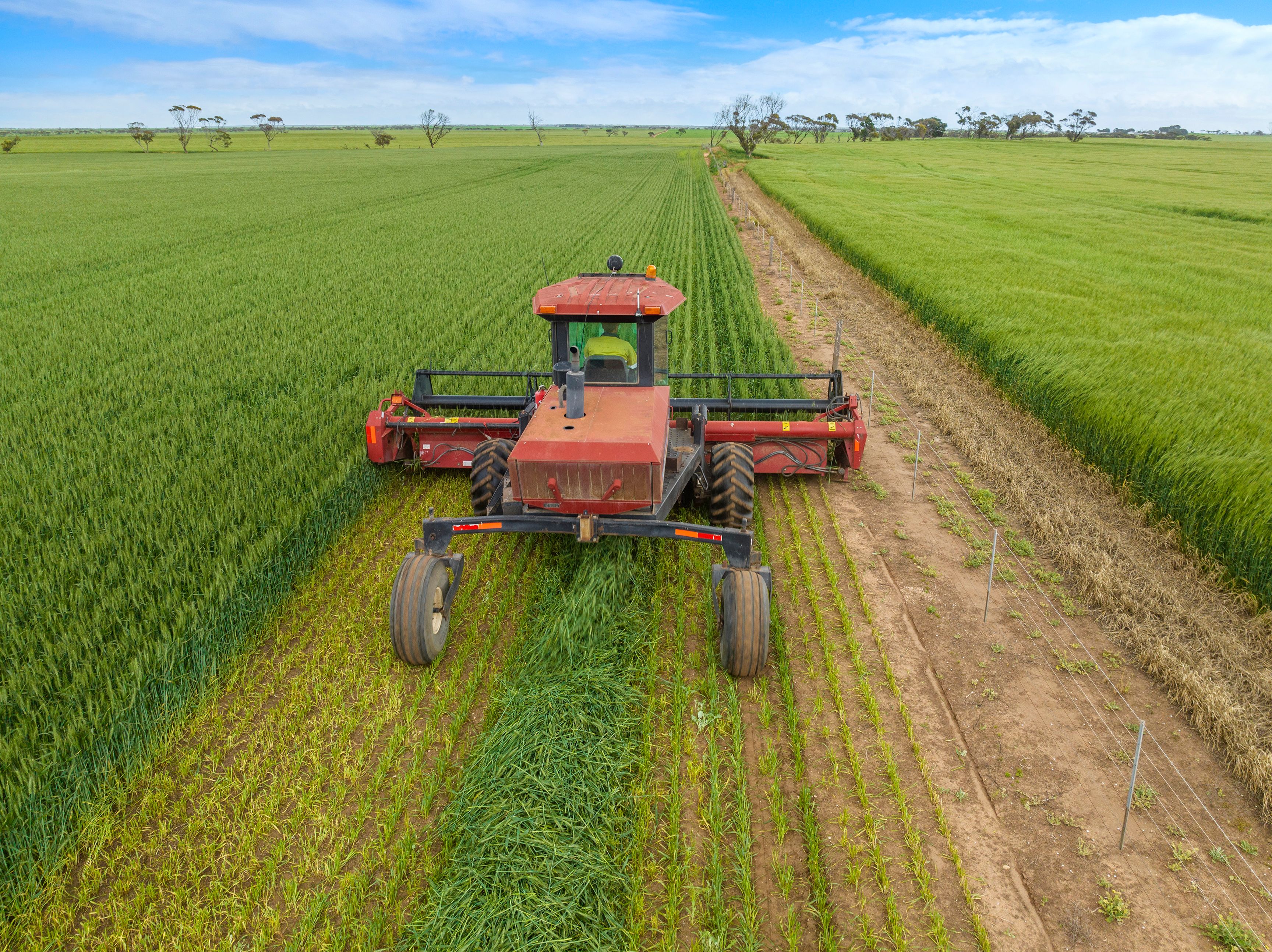 'Youngs' Spencer Highway, Ward Hill, SA 5522 - Sold Rural Cropping ...