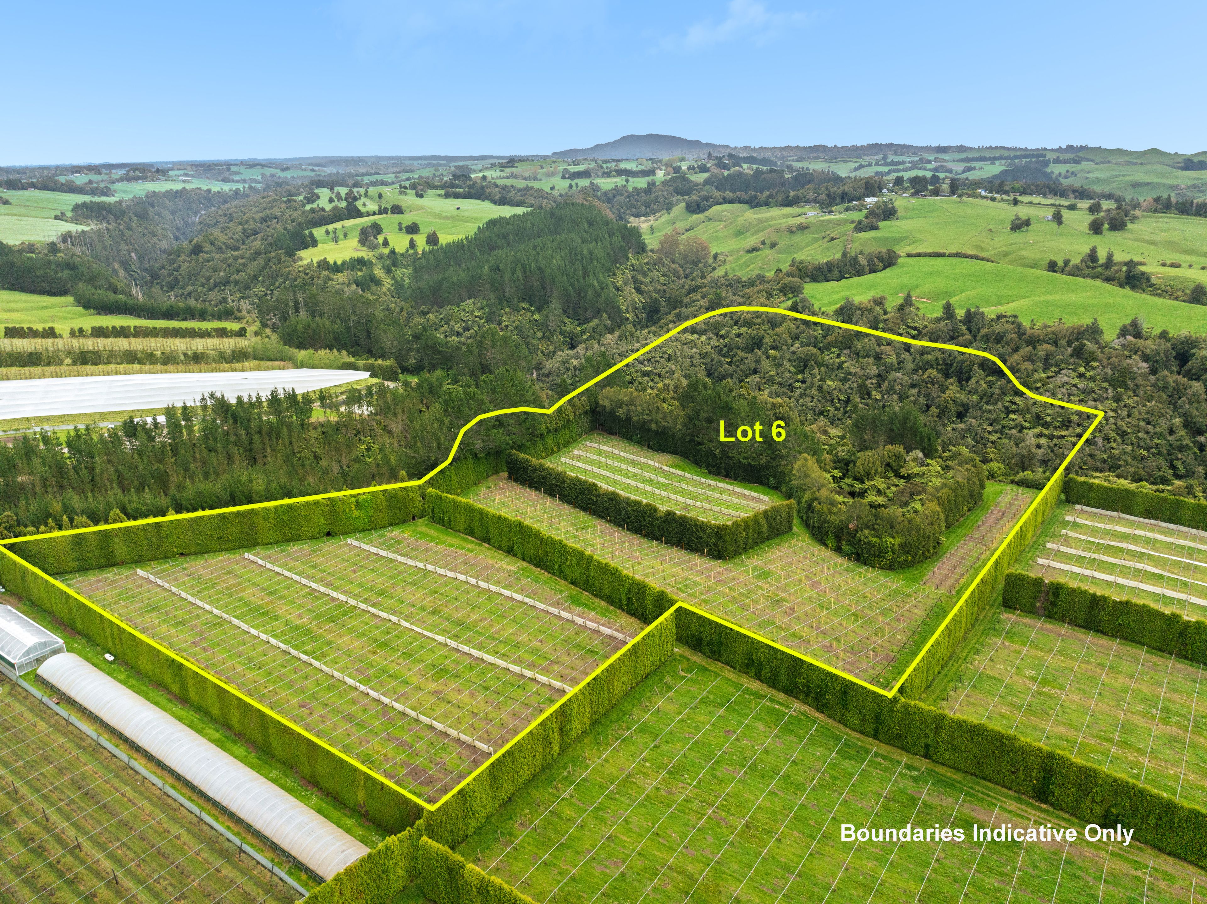 Lot 6/1010 Te Matai Road, Te Puke, – Rural • Ray White New Zealand