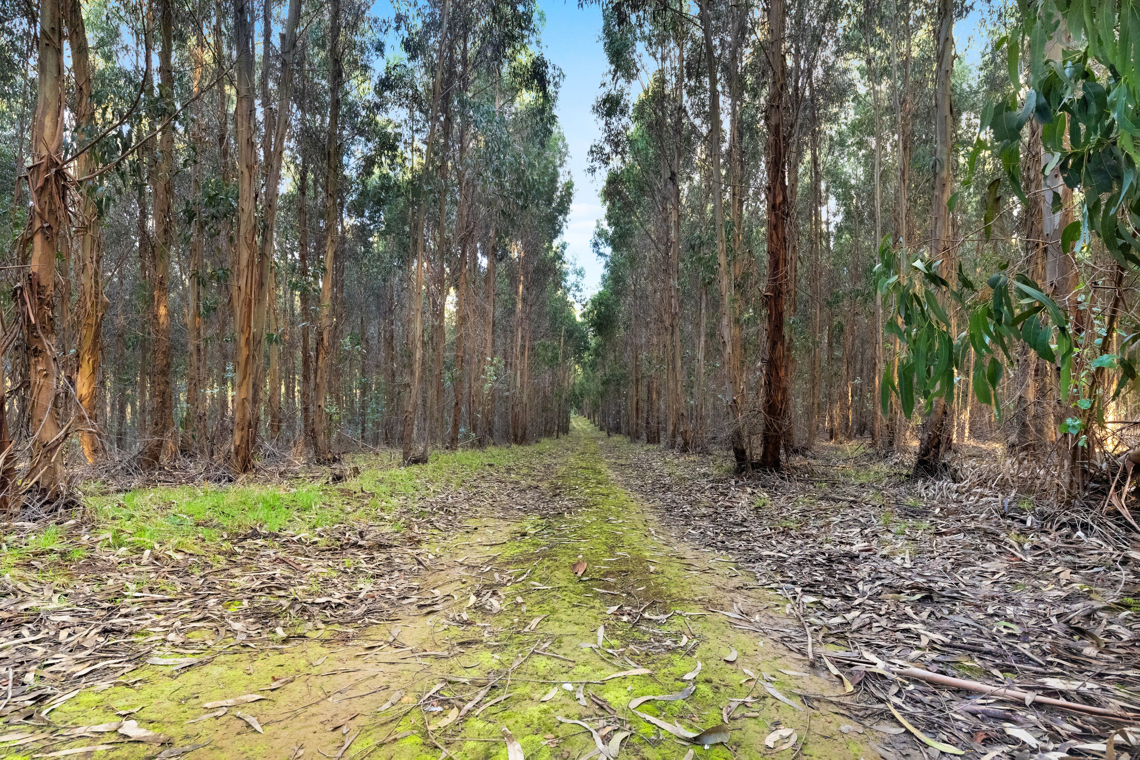 275 Dean-Barkstead Road, Rocklyn, VIC 3364 - Sold Rural Lifestyle ...
