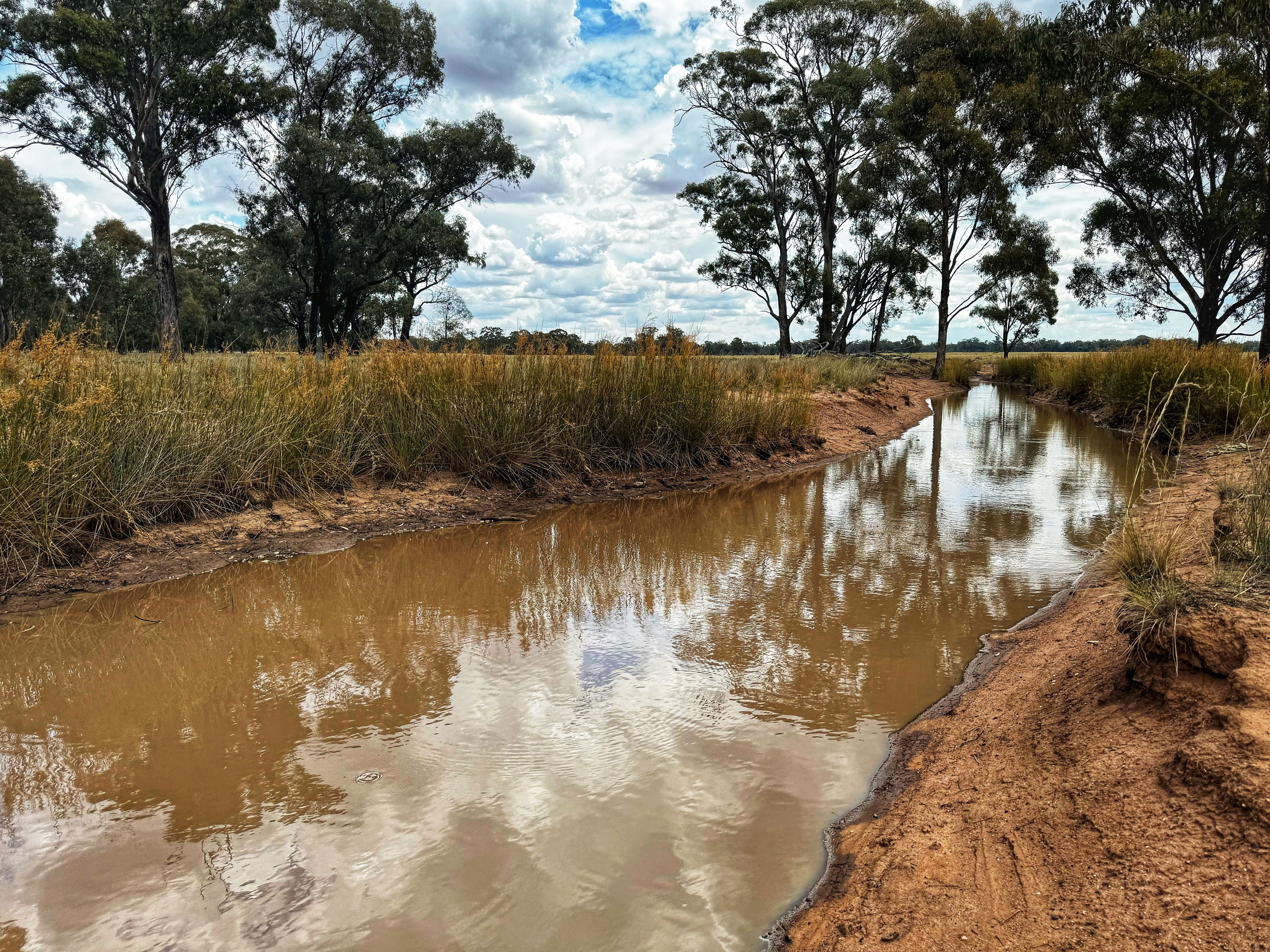 1 Adavale Lane, Trundle, NSW 2875 - Rural Cropping Property for Sale ...