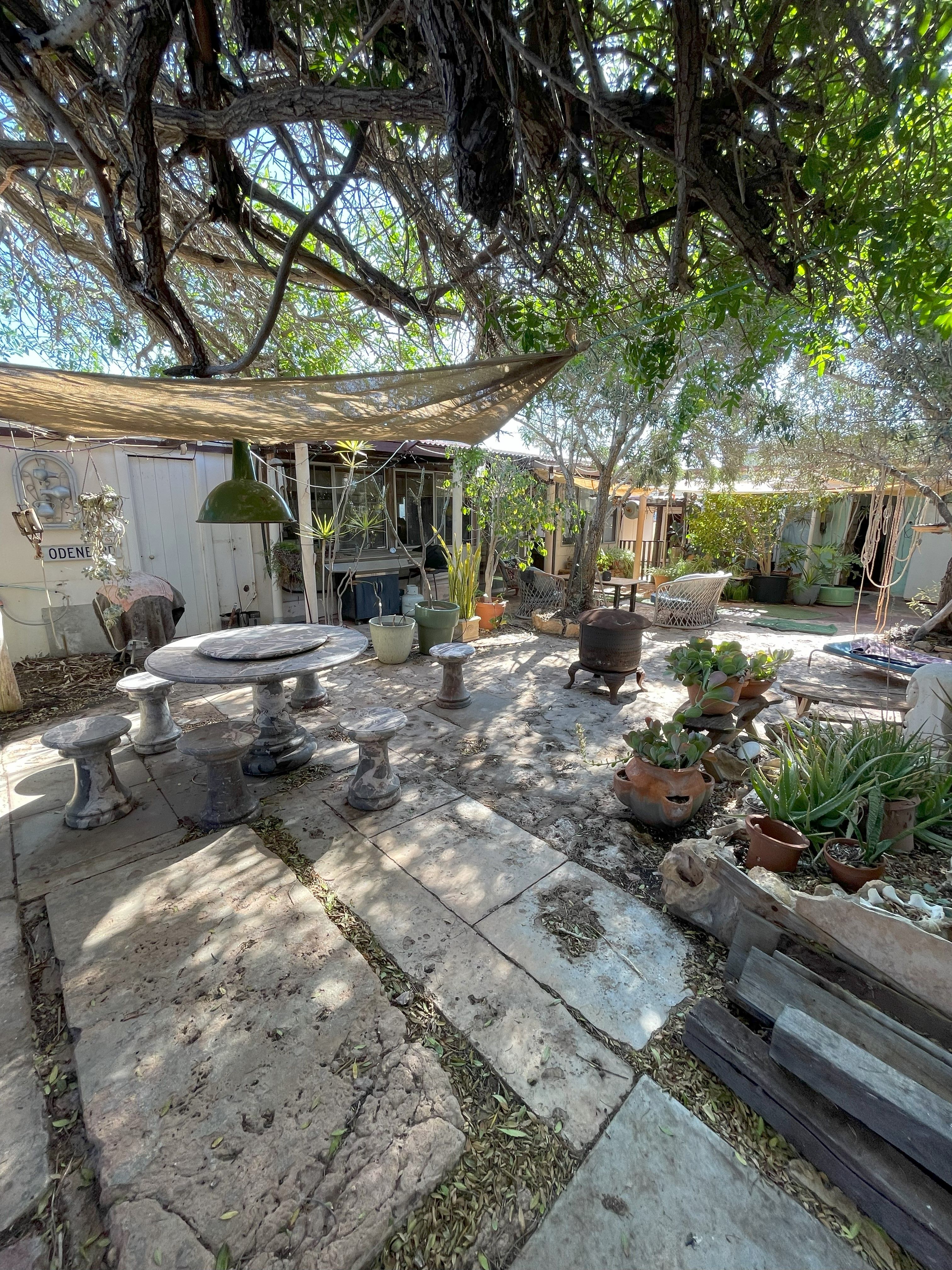 Homes for sale in Denham - Ray White Shark Bay