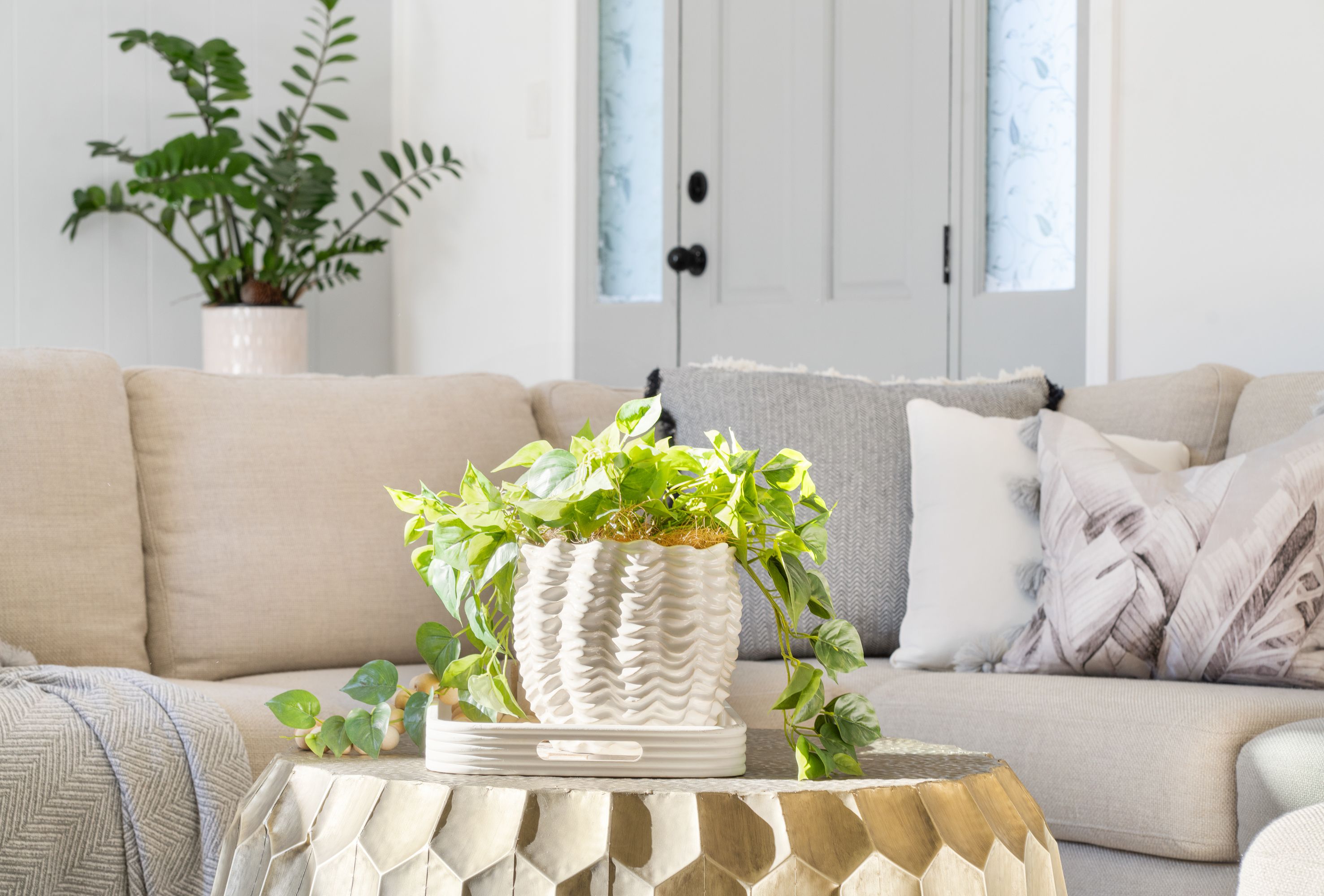 5 Ellen Street, Southport, QLD 4215 - House for Rent - Ray White Bell ...