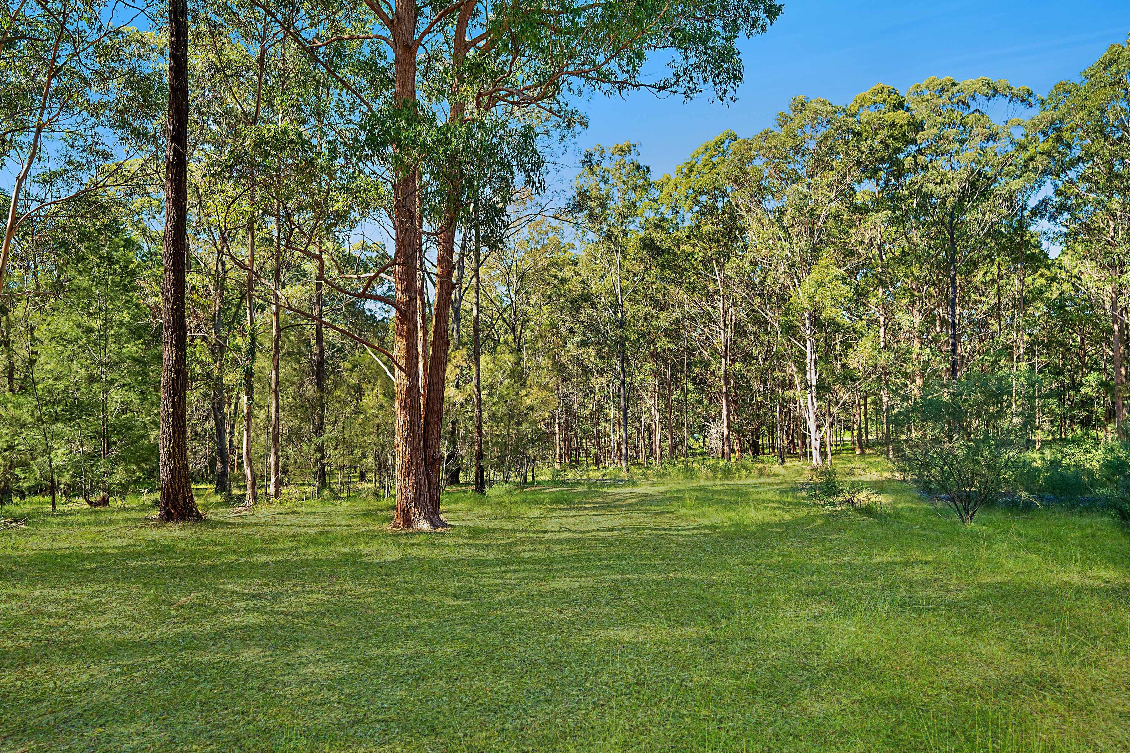 658 Mandalong Road, Mandalong, NSW 2264 - Sold Rural Property - Ray ...