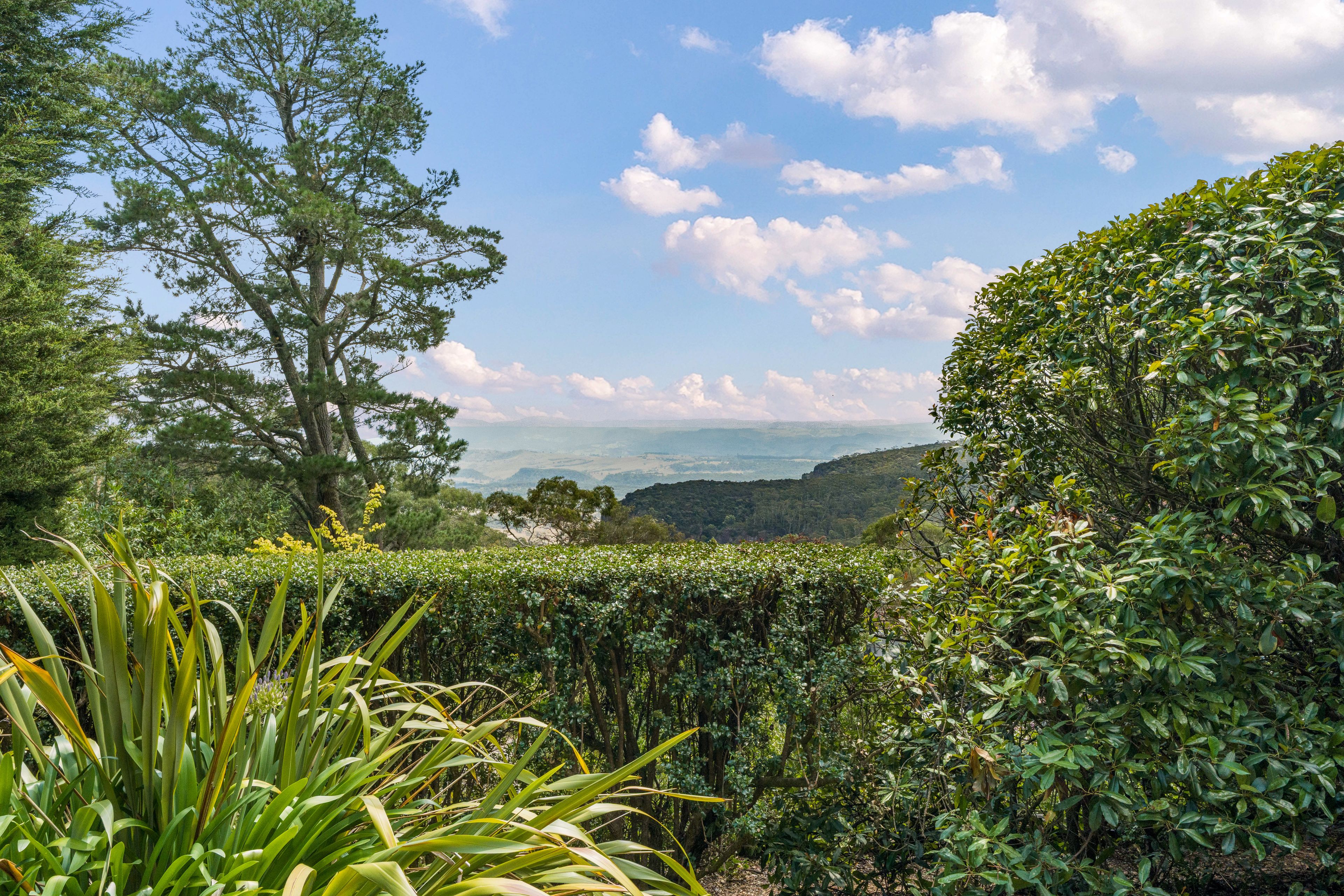 14 Cecil Road, Blackheath, NSW 2785 - House for Sale - Ray White Upper ...