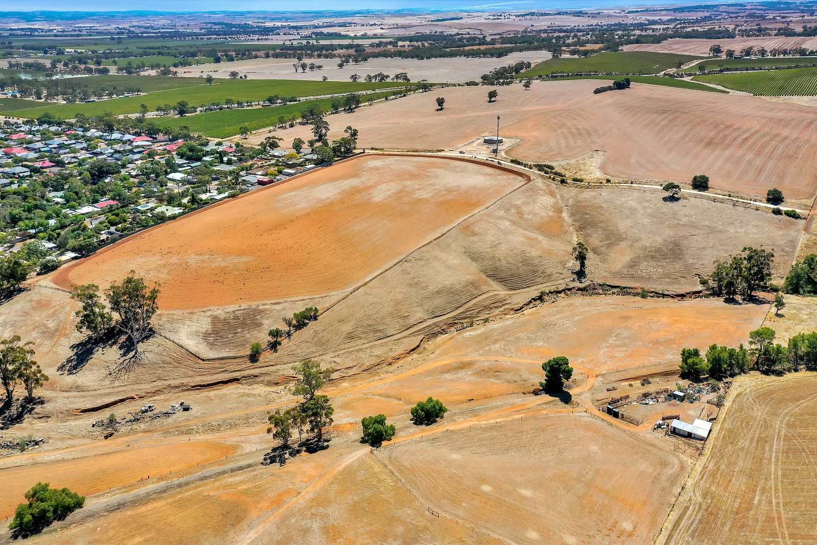 401 Queen Street, Stockwell, SA 5355 - Land for Sale - Ray White ...