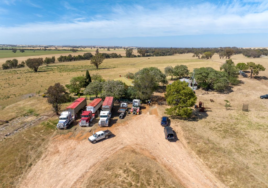 468 Goldfields Way, Old Junee, NSW – Home For Sale • Ray White