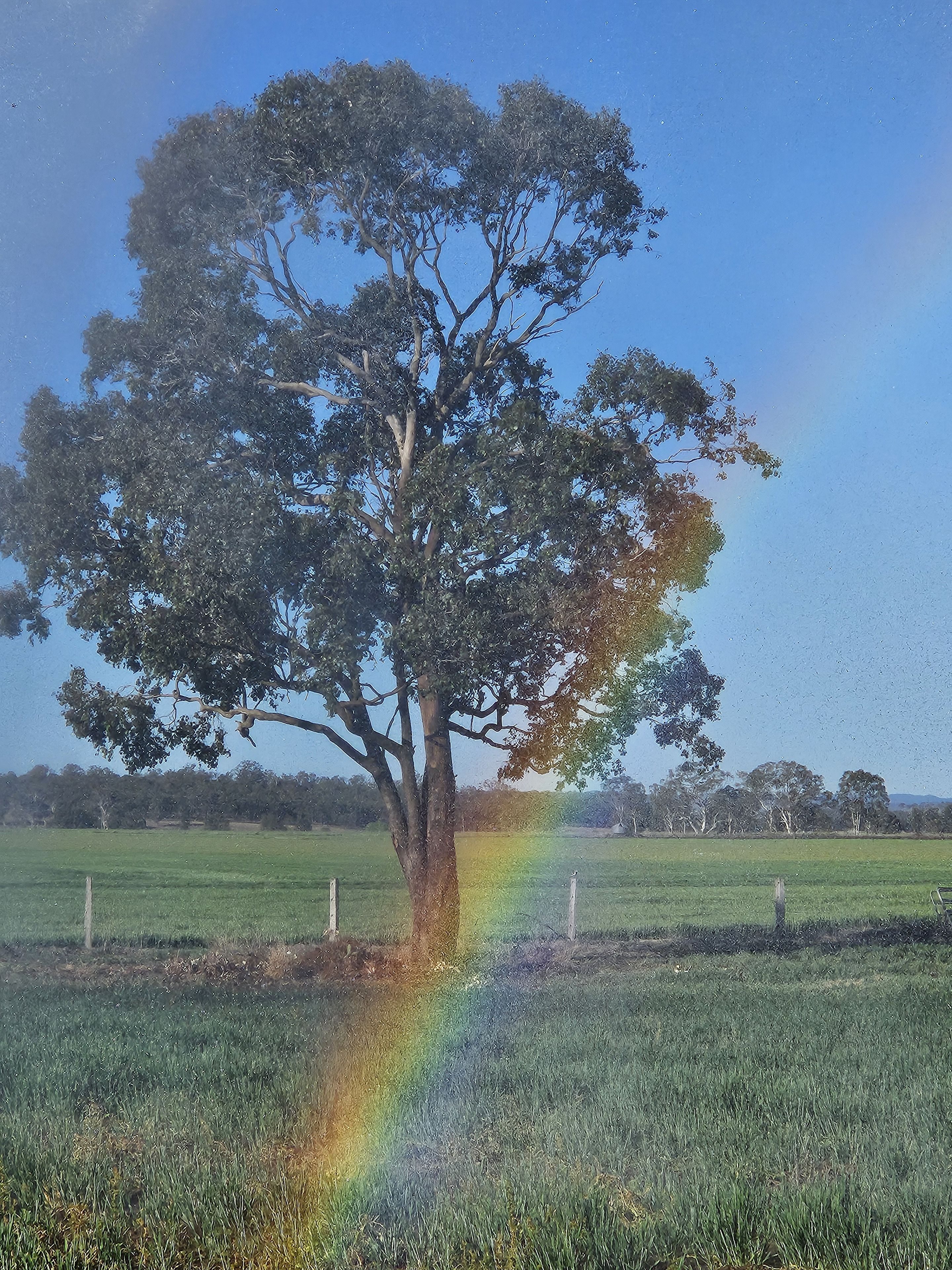 "Gunns Gully" - 1406 Dalrymple Creek Road, Talgai, QLD 4362 - Sold ...