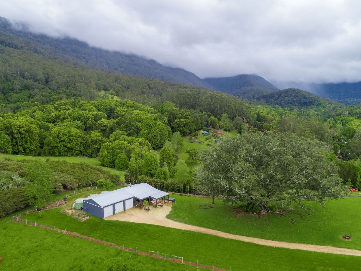 235 Limpinwood Valley Road, Limpinwood, NSW 2484 - Sold Rural Lifestyle ...