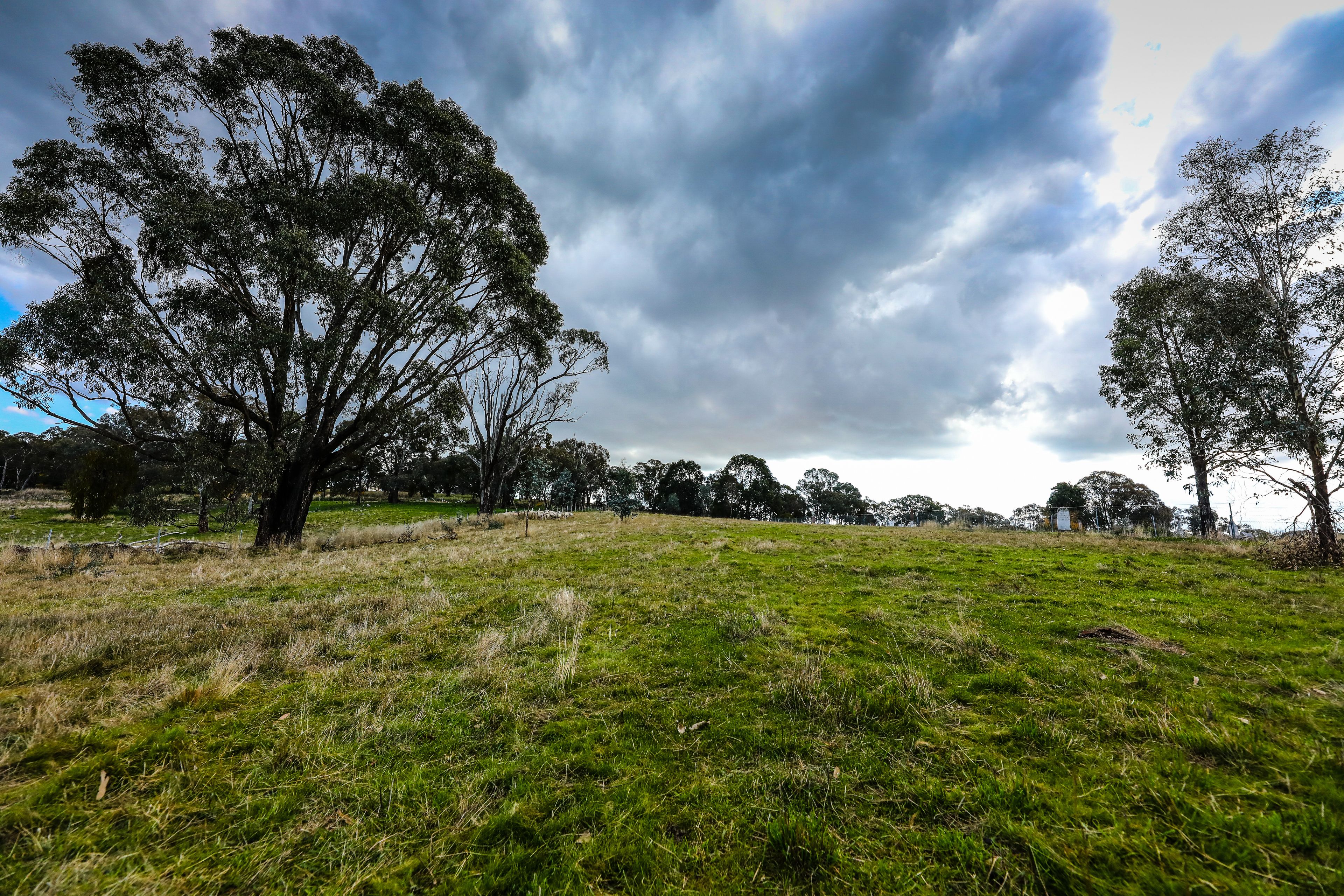 Lot 1&84, 111 Prescot Street, Lyndhurst, NSW 2797 - Sold Land - Ray ...